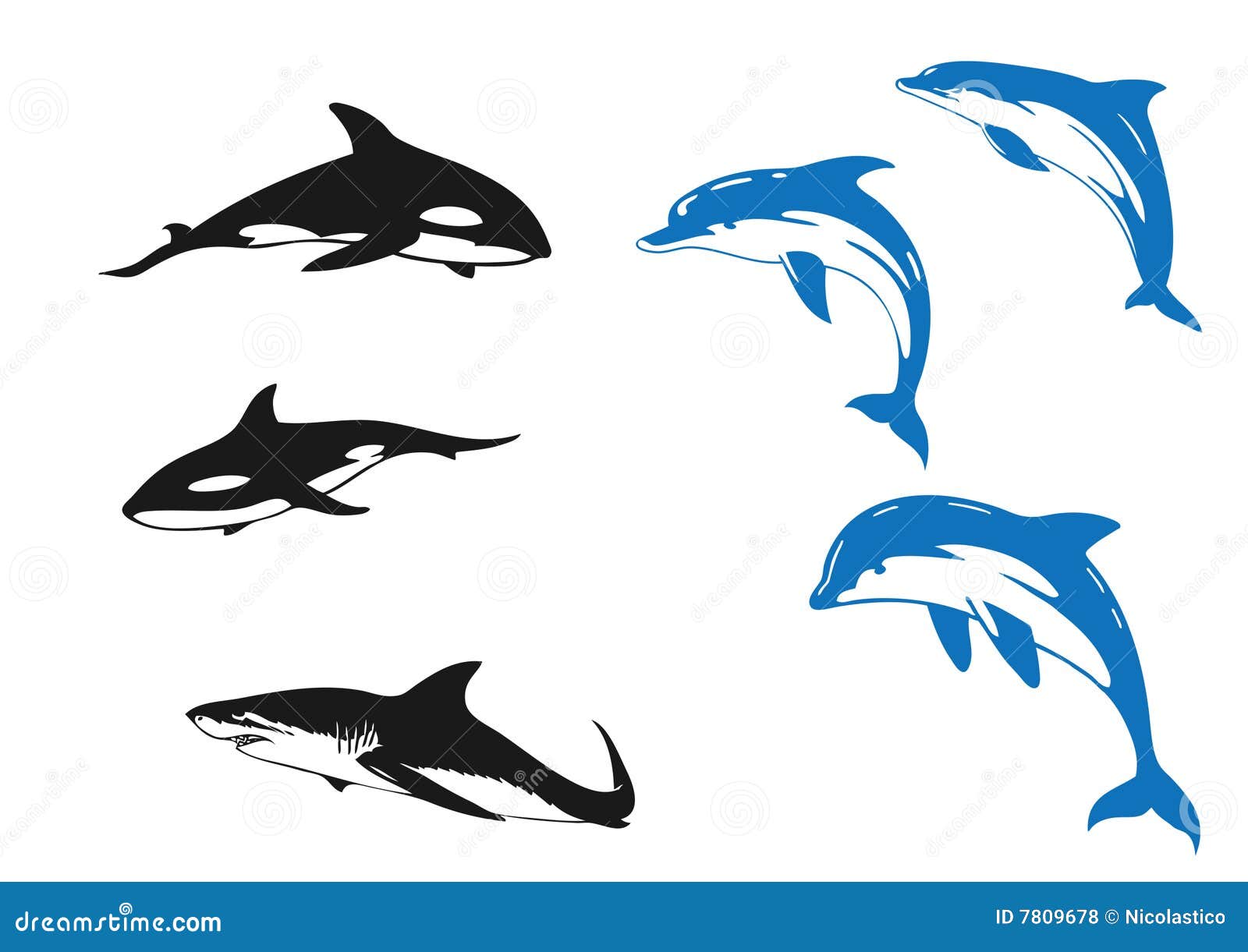 Dolfijn Stock Illustrations, Vectors, & Clipart – (28,076 Stock ...