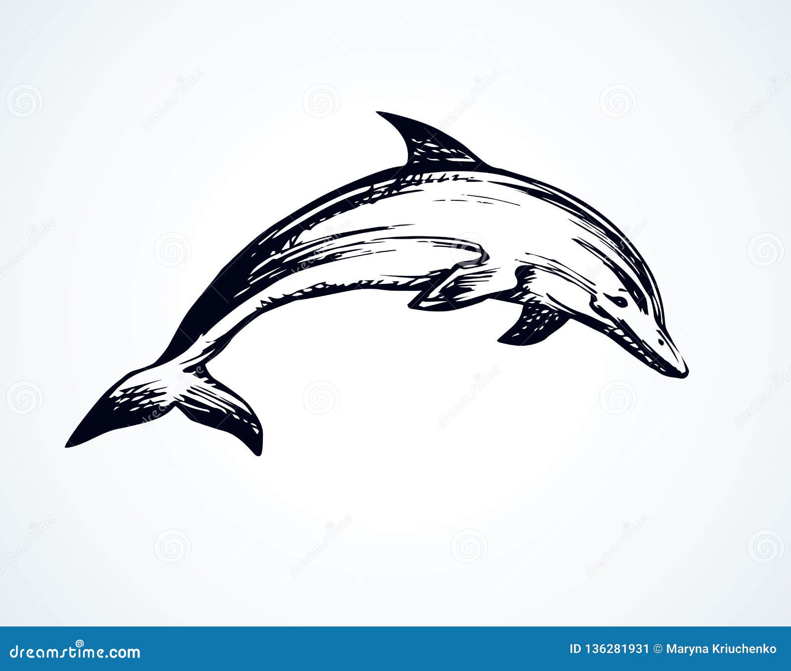 Dolfijn Vector tekening vector illustratie. Illustration of lijn ...