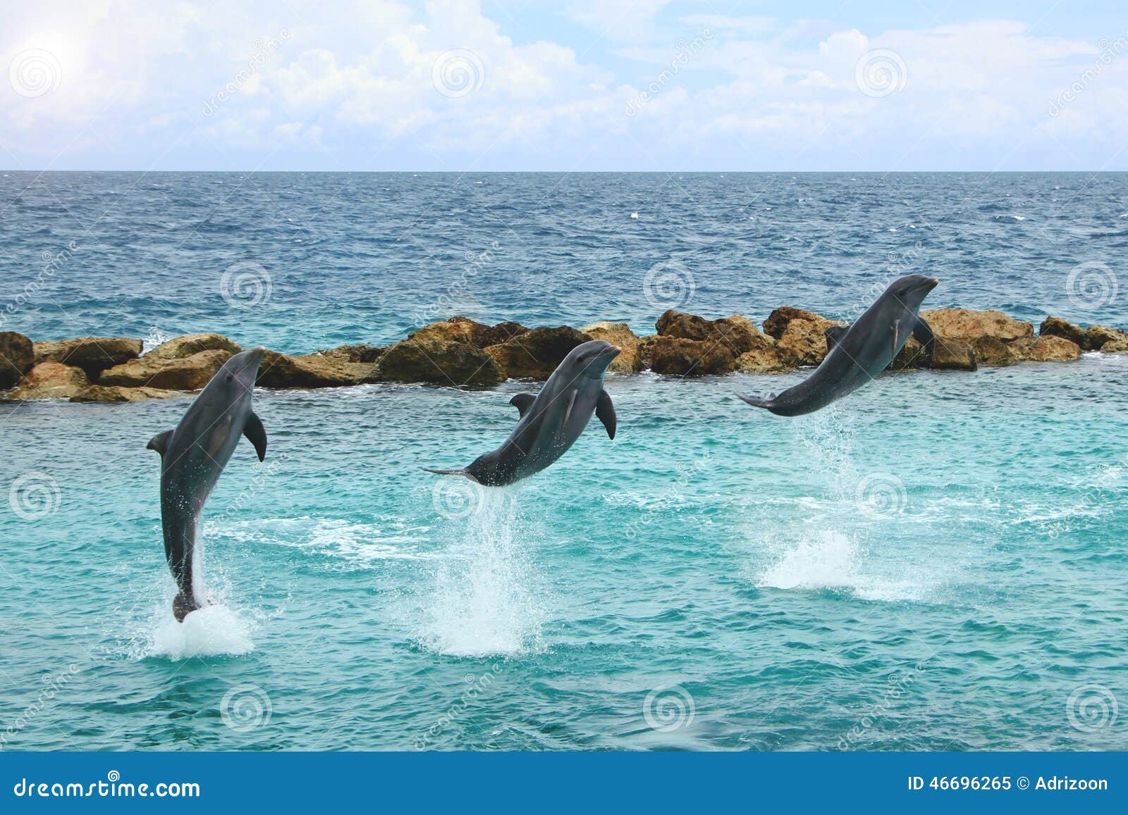 Dolfijnen Die Uit Het Water Springen Stock Afbeelding - Image of blauw ...
