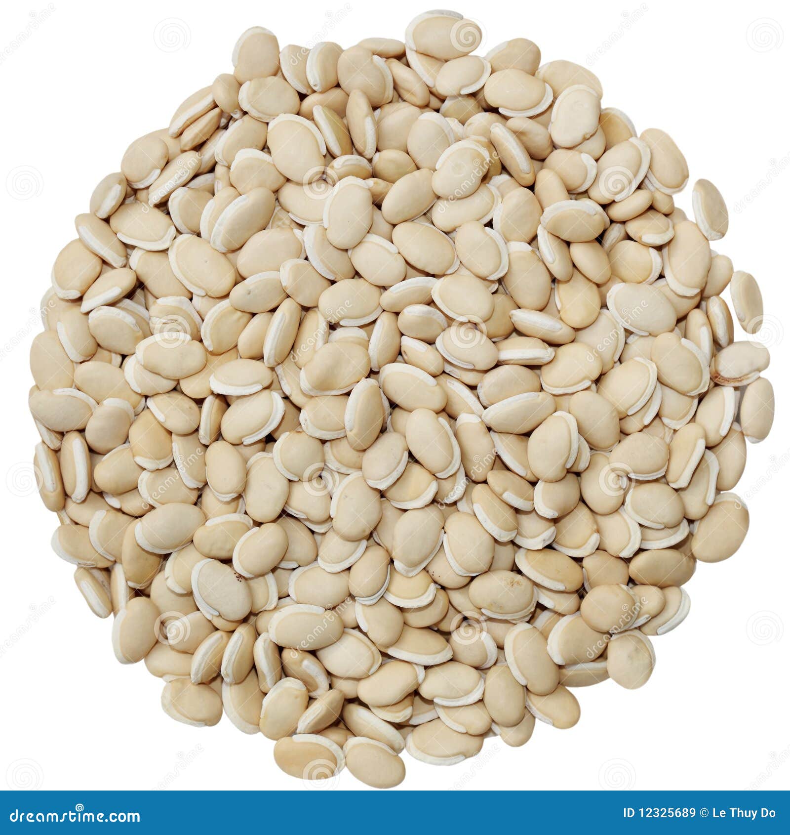 Dolichos Lablab Hyacinth Beans Stock Image - Image of closeup, haricot ...