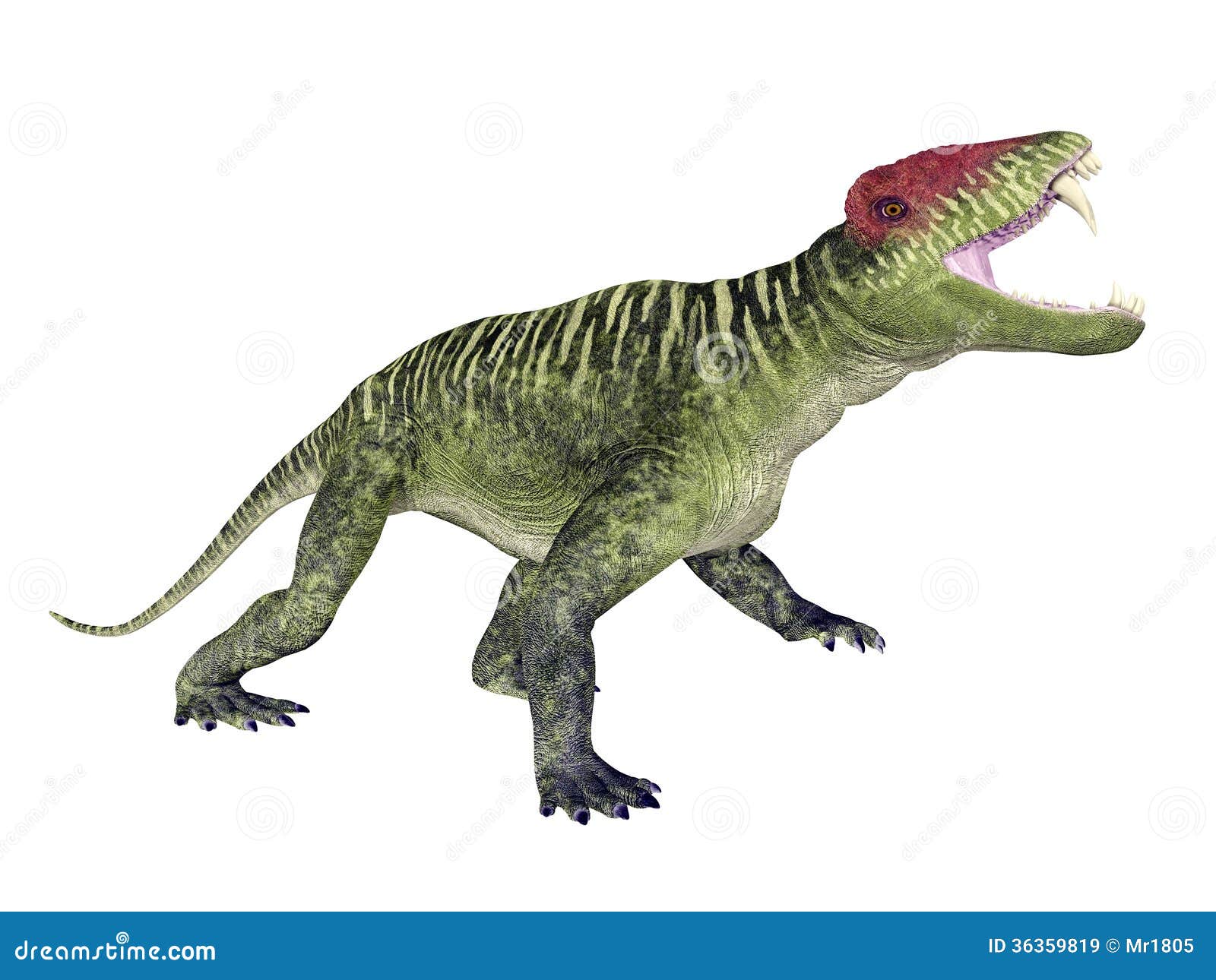 Doliosauriscus stock illustration. Illustration of paleontology - 36359819