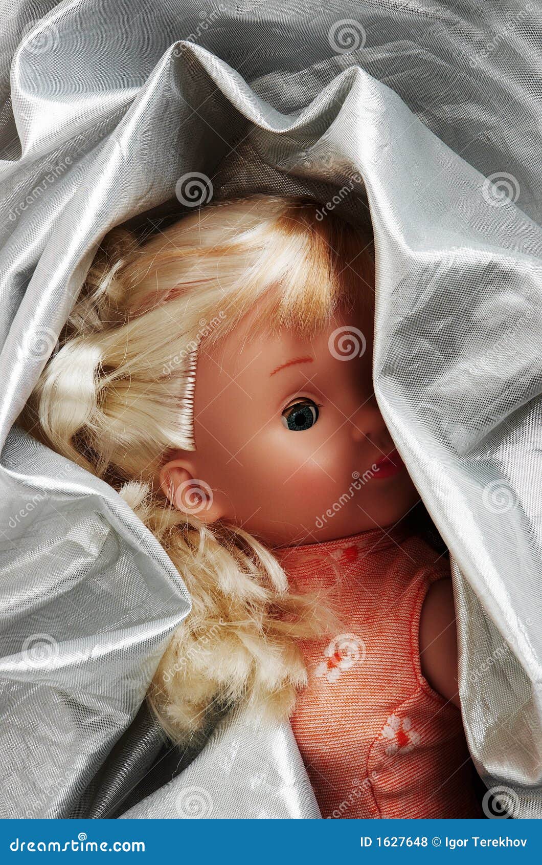 Doll stock photo. Image of funny, plated, head, unusual - 1627648