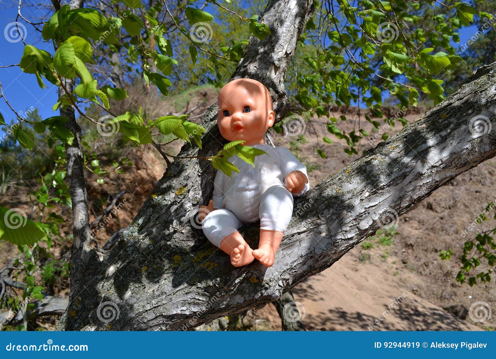 The Doll in the Branches of a Tree Stock Image - Image of bark, doll ...