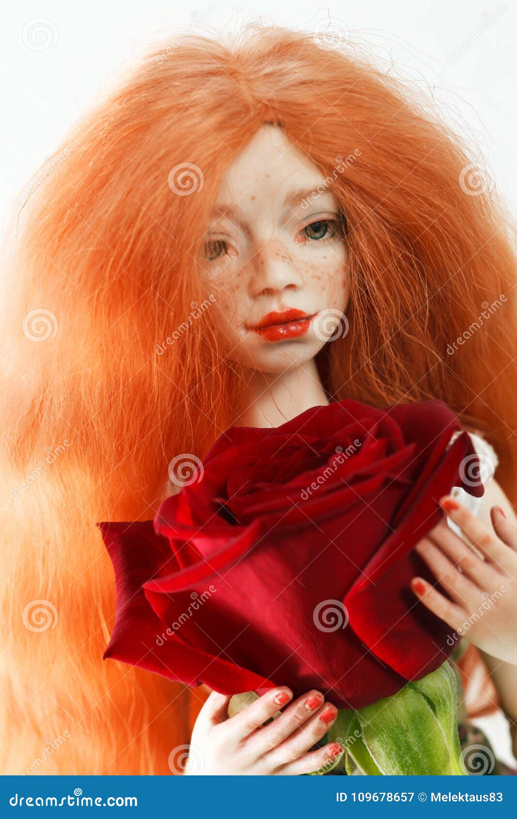 Doll and flower stock image. Image of flower, lady, leisure - 109678657