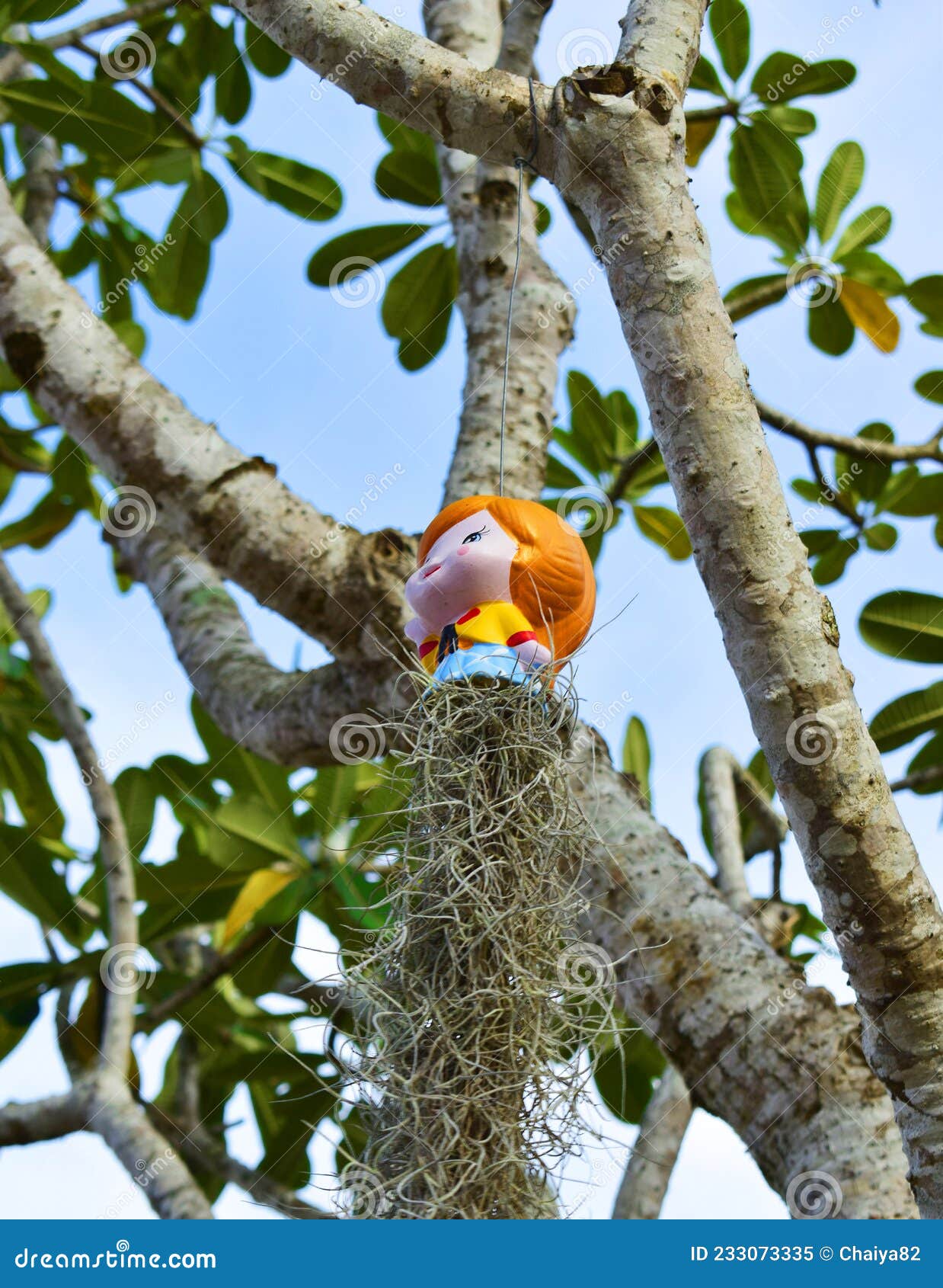 A doll hanging on a tree. stock image. Image of color - 233073335
