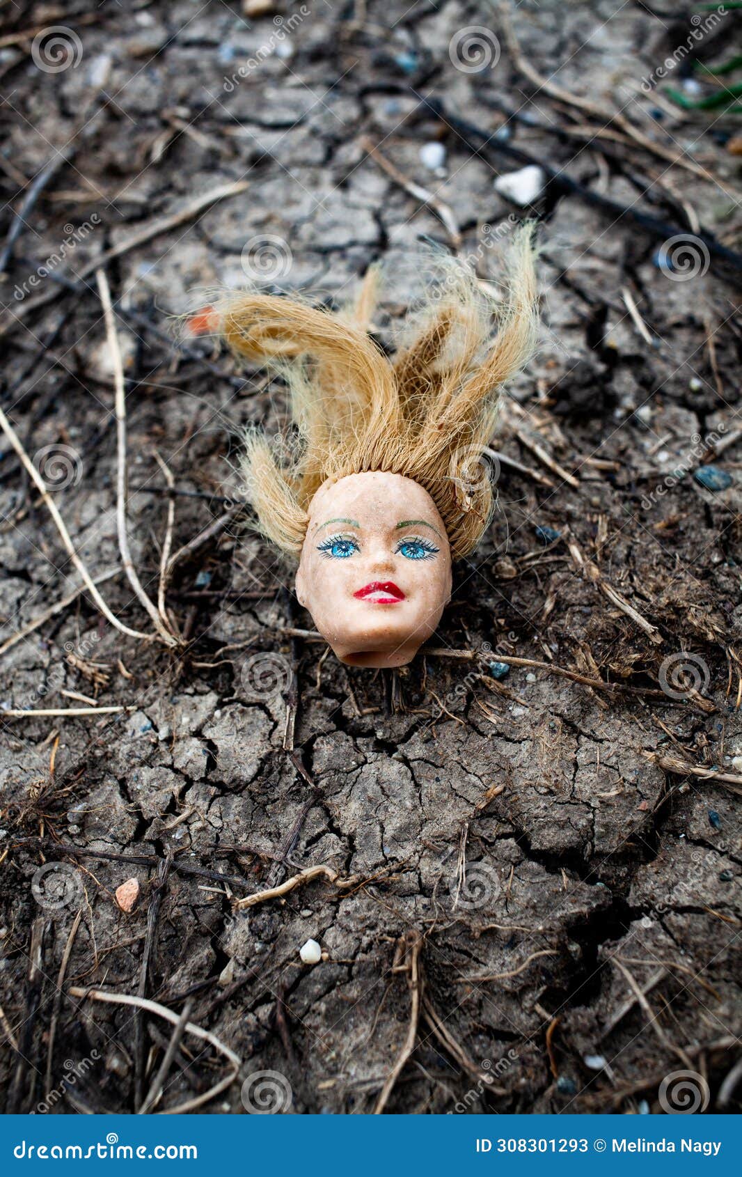 Doll head in the mud stock image. Image of play, puppet - 308301293