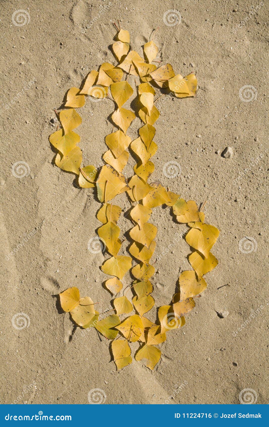 Dollar in autumn - leafs stock photo. Image of economy - 11224716