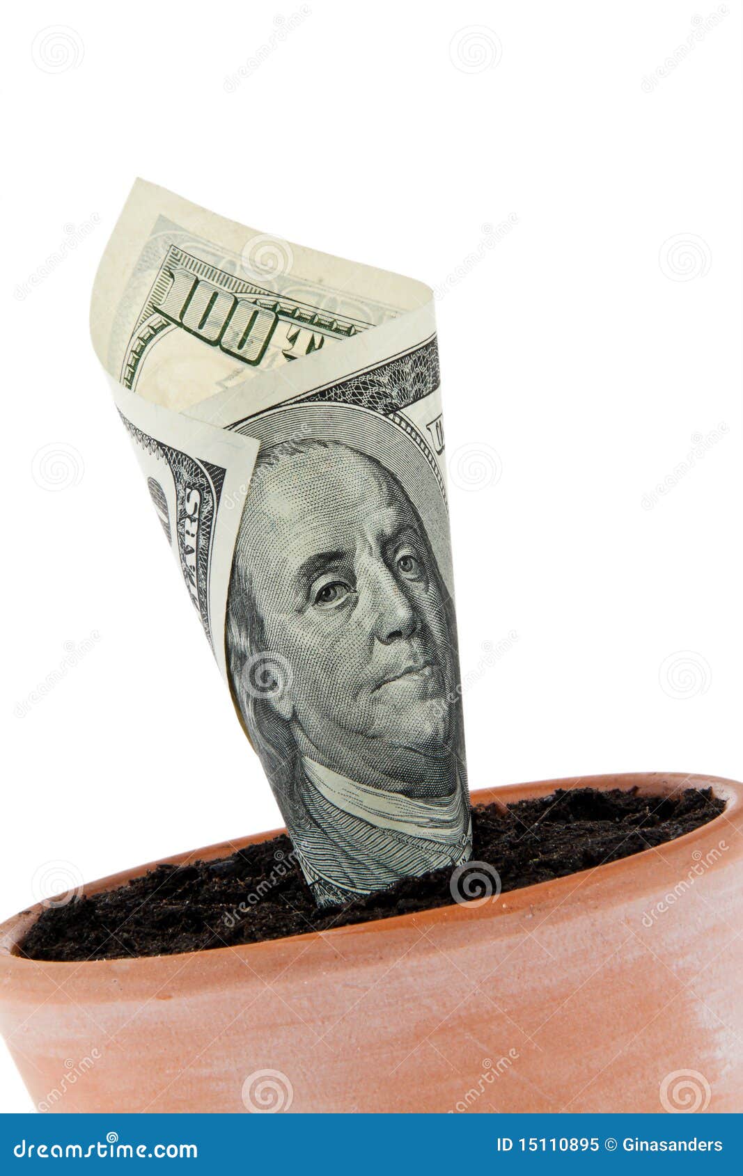 Dollar Bill in Flower Pot. Interest Rates, Growth. Stock Image - Image ...