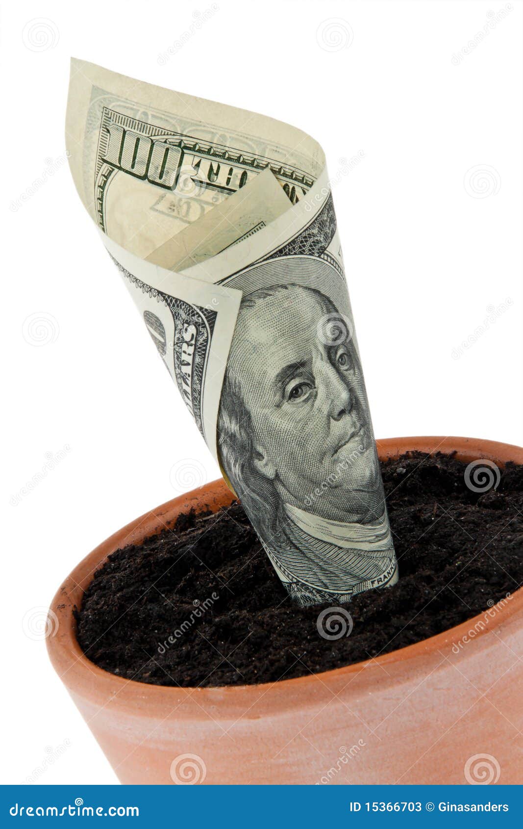Dollar Bill in Flower Pot. Interest Rates, Growth. Stock Image - Image ...