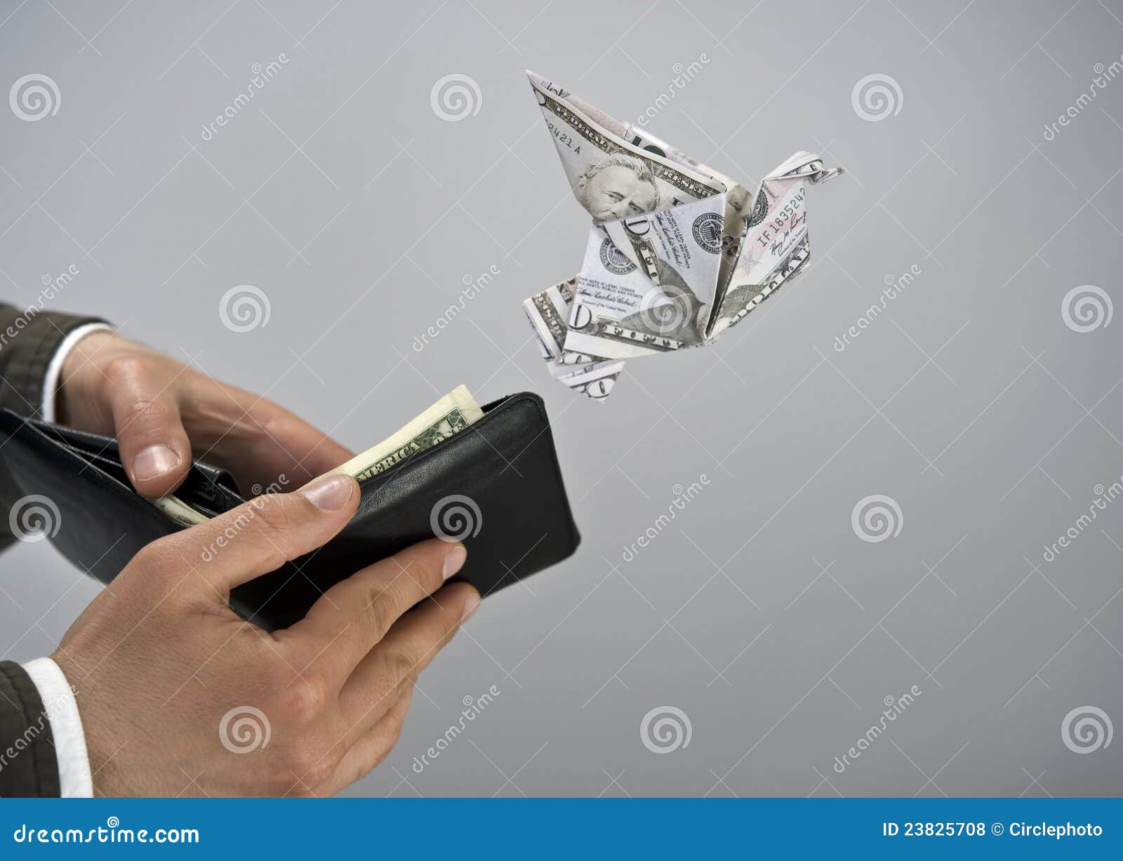 Dollar bird stock photo. Image of cash, hands, investment - 23825708