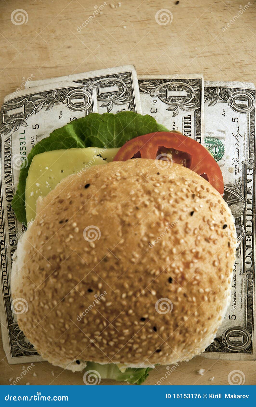 Dollar Burger stock photo. Image of fatty, monetary, green - 16153176