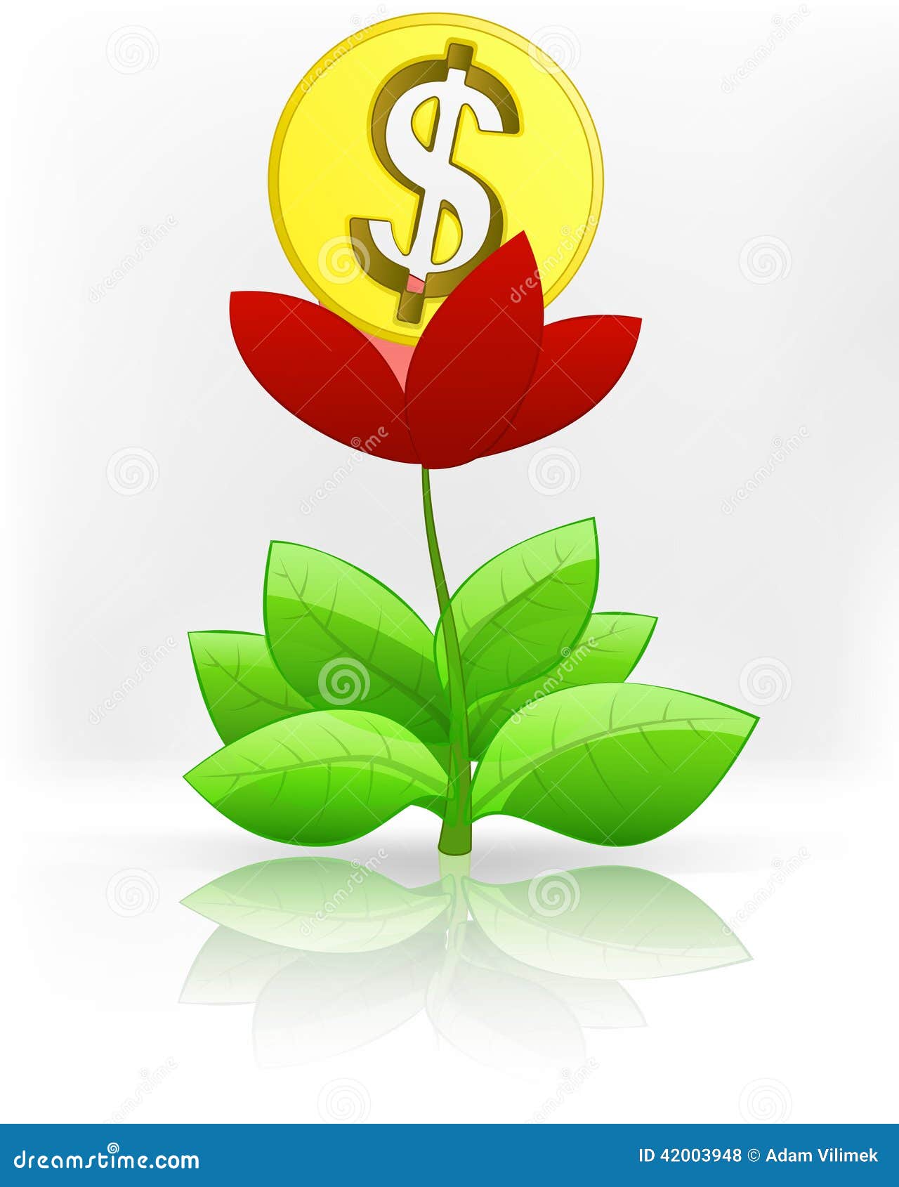 Dollar Coin in Red Flower Blossom on White Vector Stock Vector ...