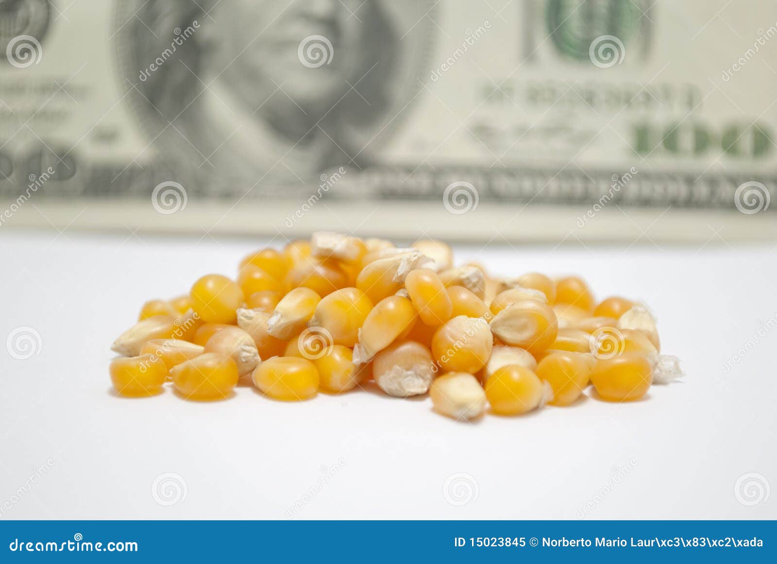 Dollar corn and beans stock image. Image of food, preserved - 15023845