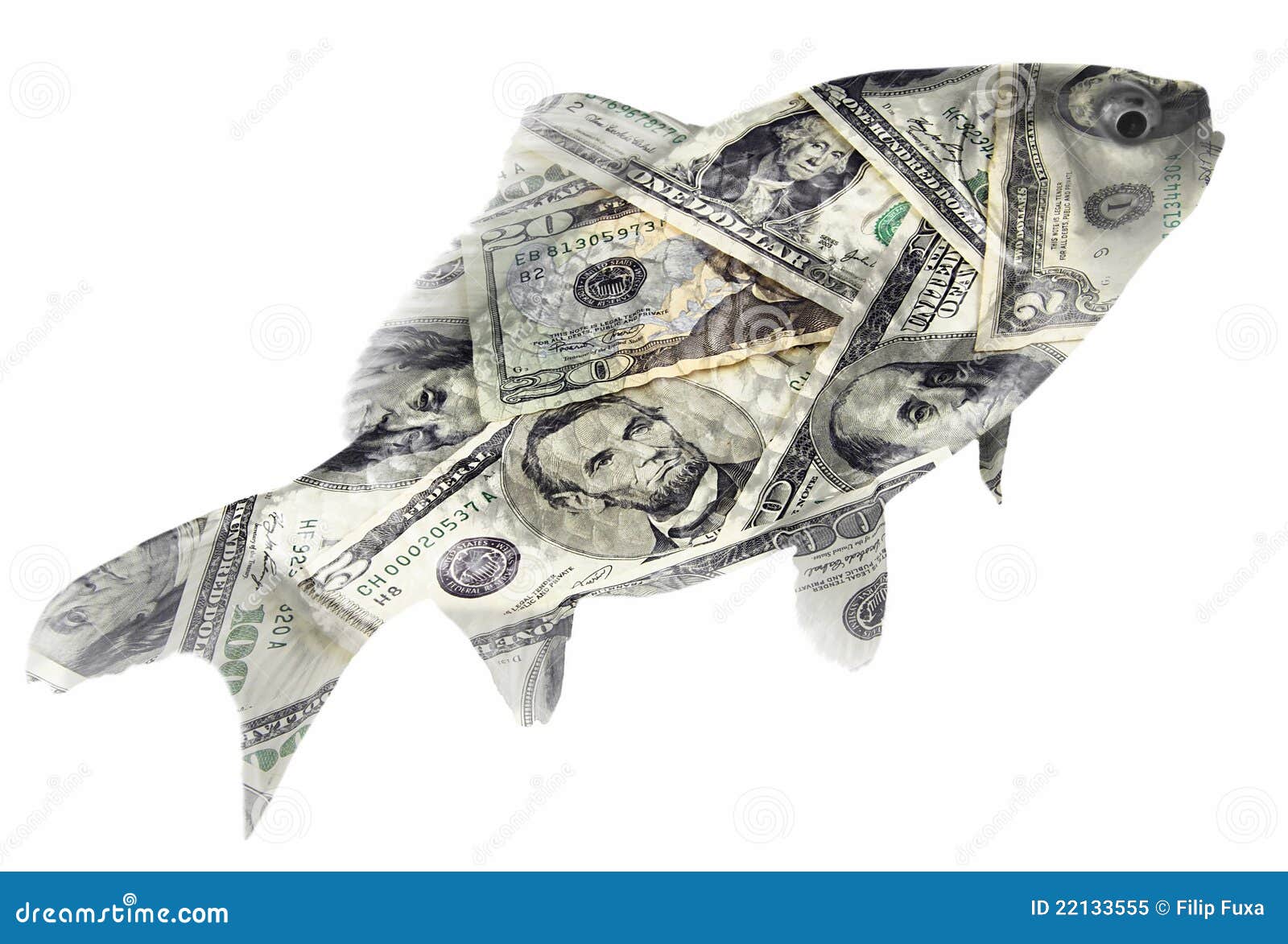 Dollar Fish stock image. Image of fauna, dollars, animal - 22133555