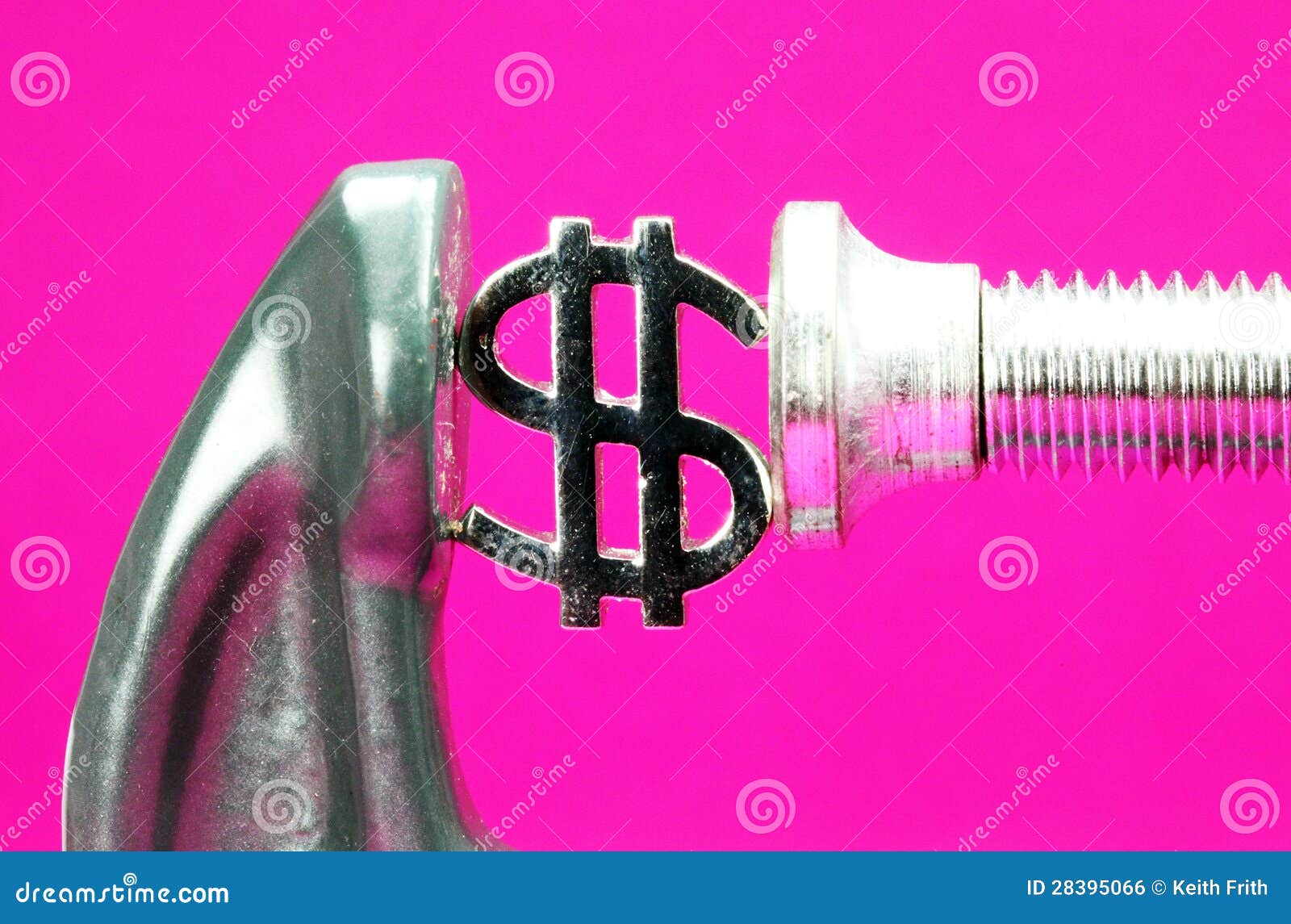 Azalea Purple Color Pictures And Images - RGB Color Hex Code [#FF00C0 ...