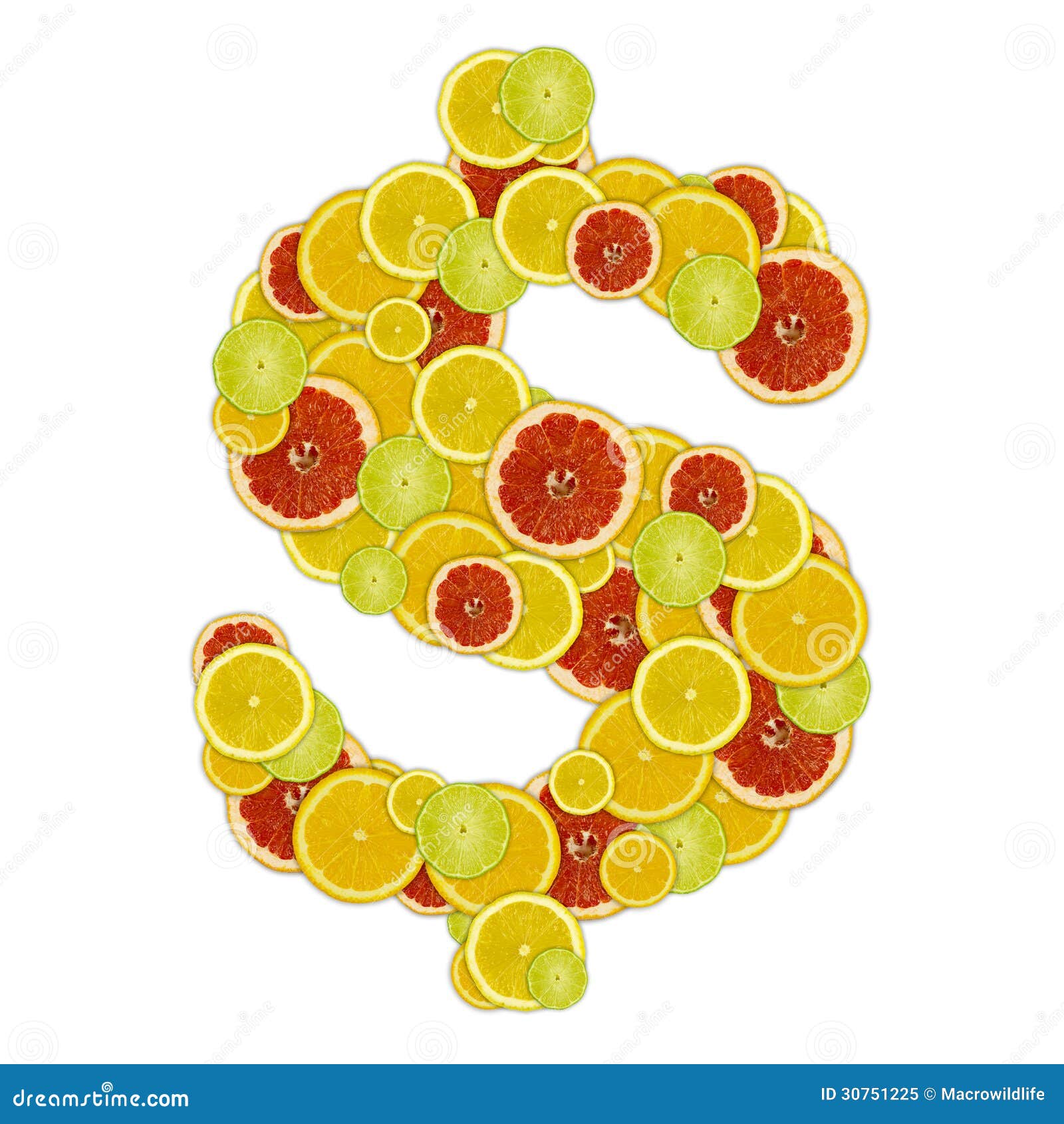 Dollar Sign of Citrus Fruit Slices Stock Image - Image of isolated ...