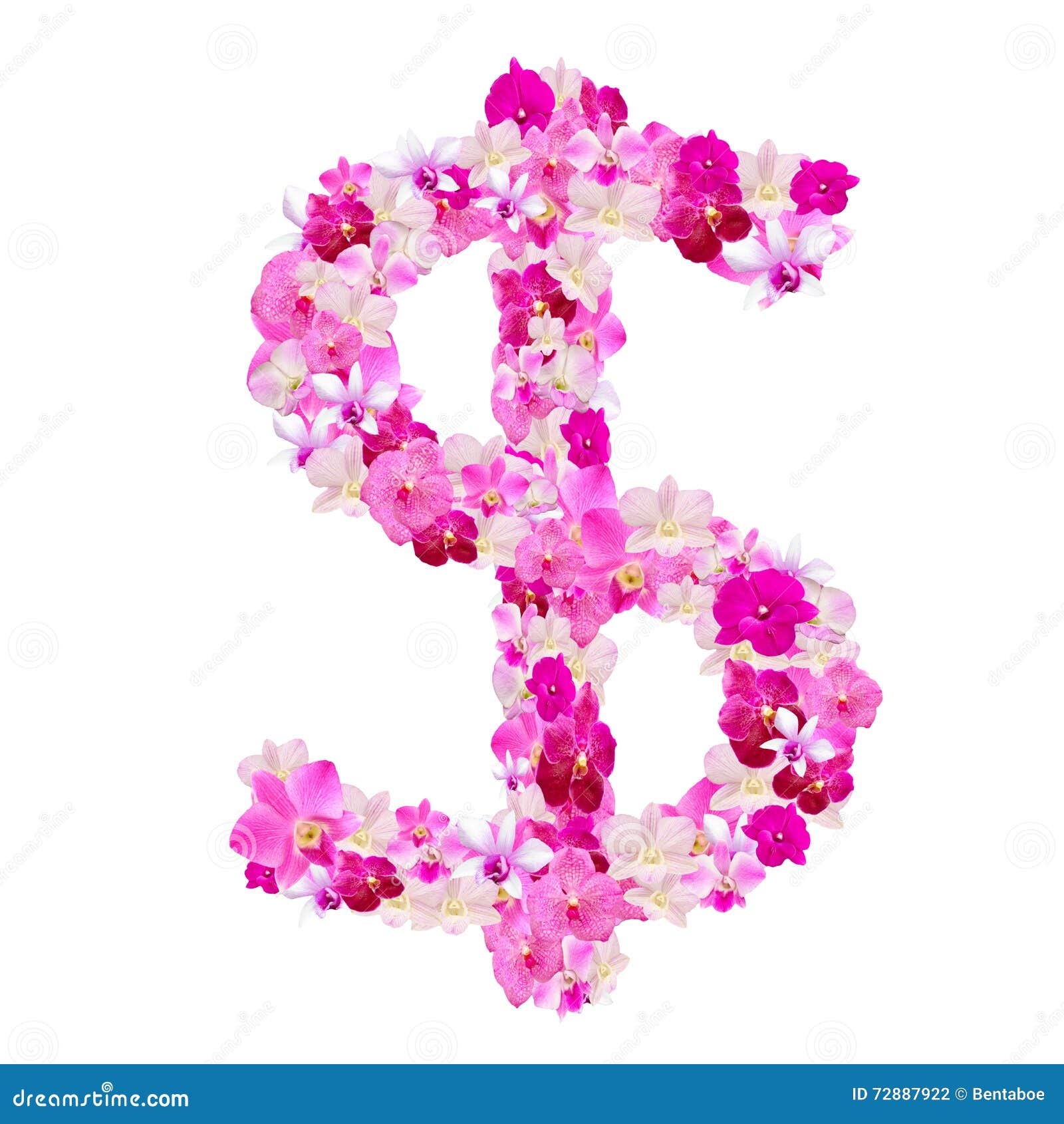 Dollar Sign from Orchid Flowers Isolated on White Stock Photo - Image ...