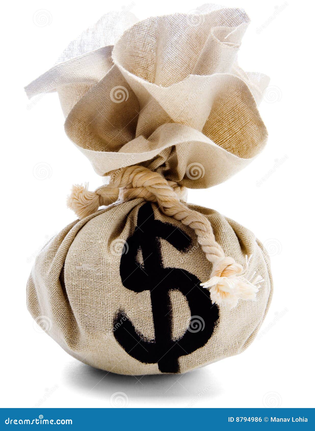 Dollar Sign on a Sack stock photo. Image of financial - 8794986