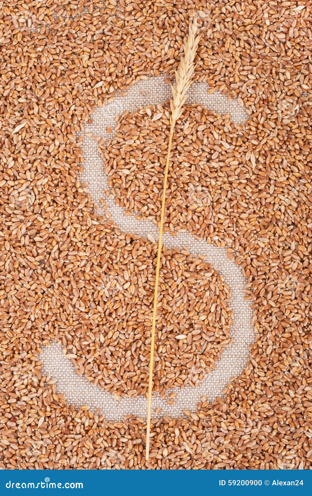Dollar Symbol Made from Wheat Grain Stock Photo - Image of financial ...
