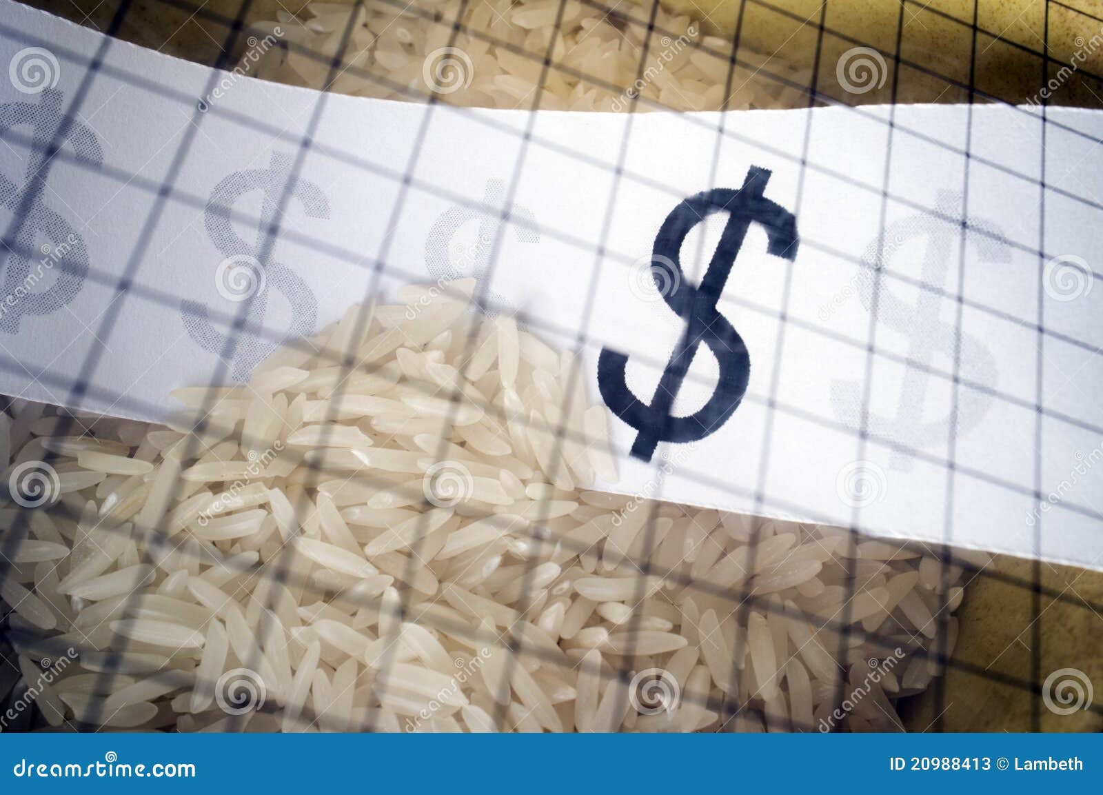 Dollar Symbol with Rice stock image. Image of business - 20988413