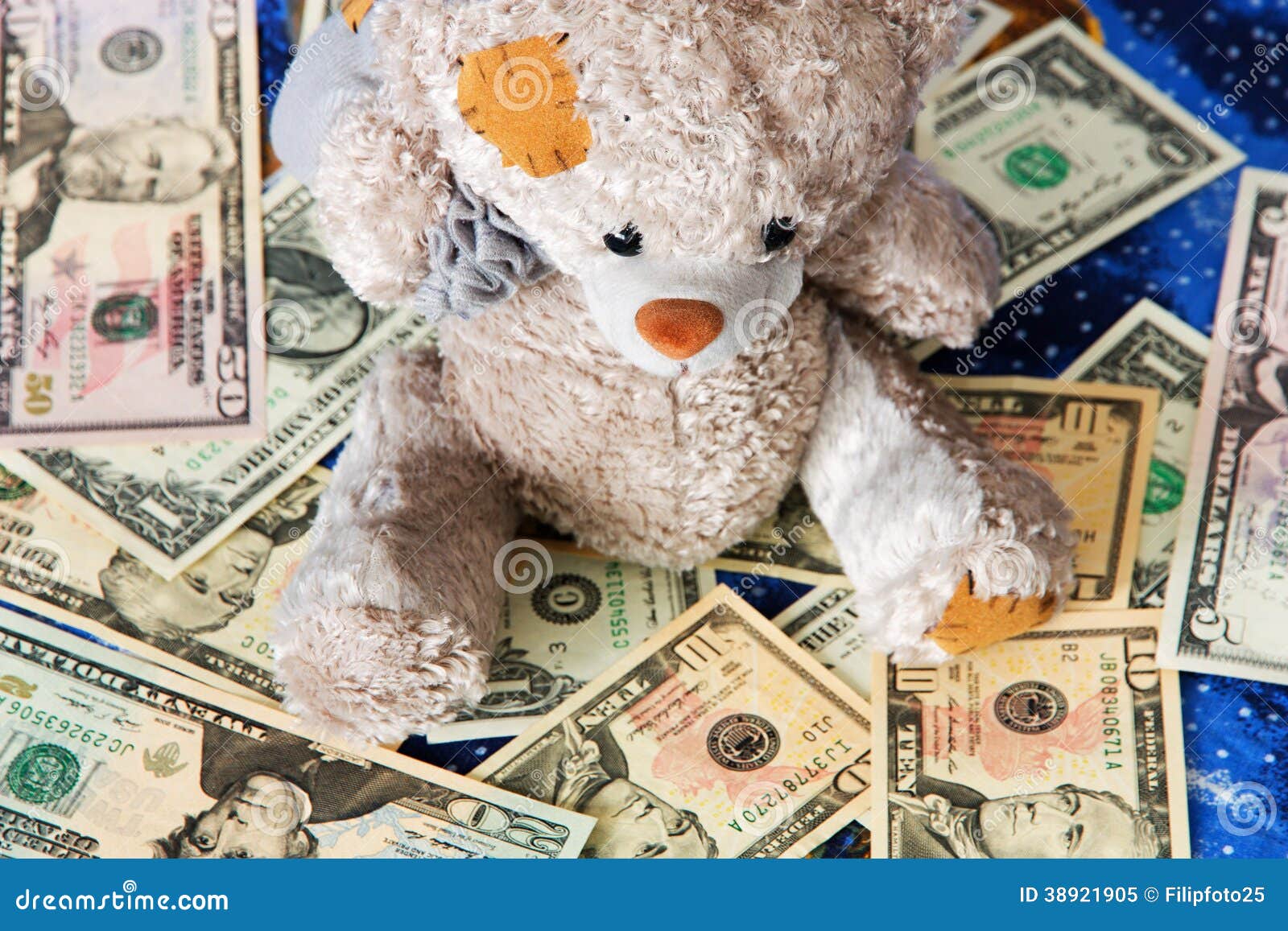 Dollars for bear stock image. Image of buying, cute, child - 38921905