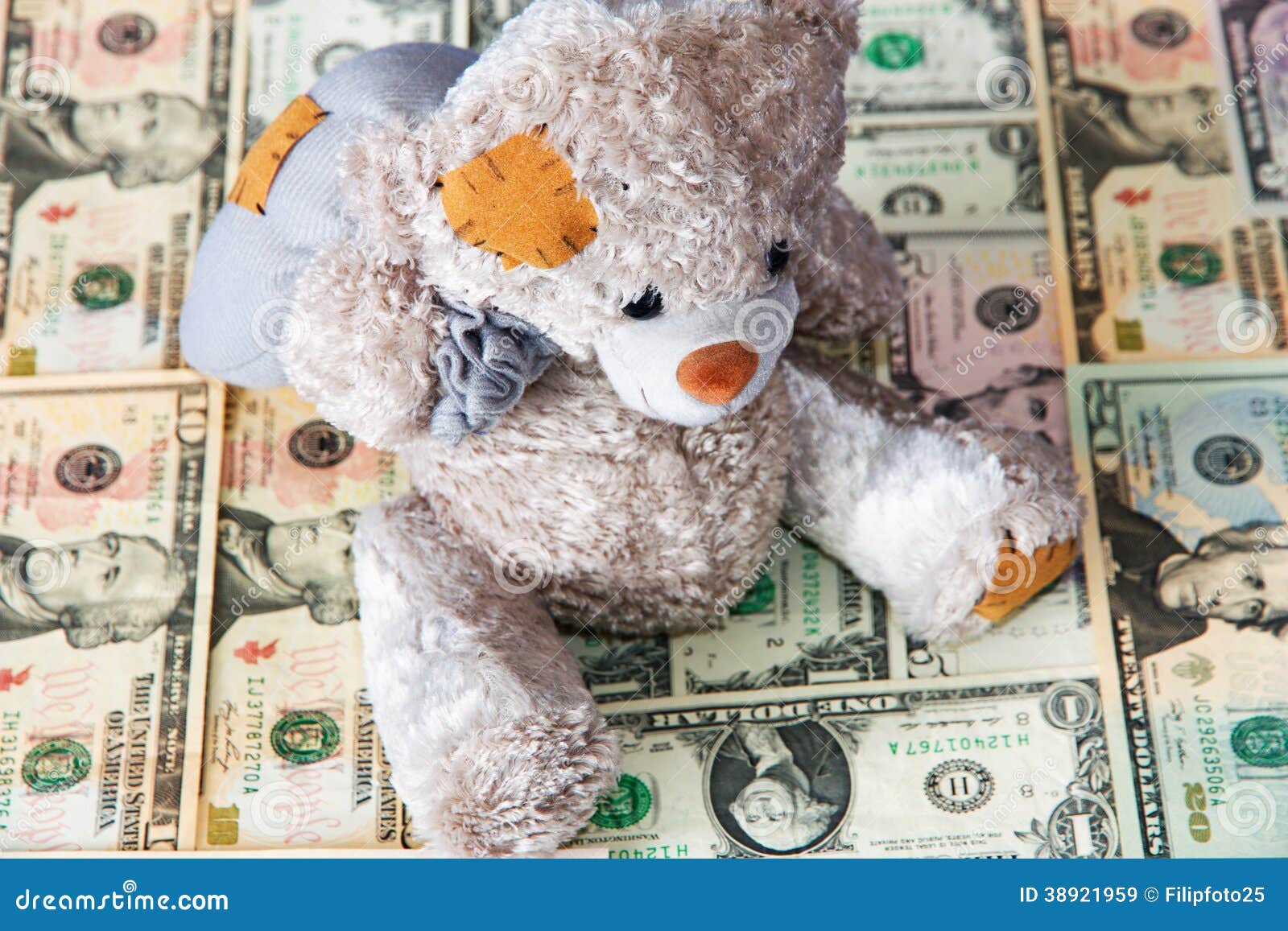 Dollars for bear stock image. Image of happy, bills, business - 38921959