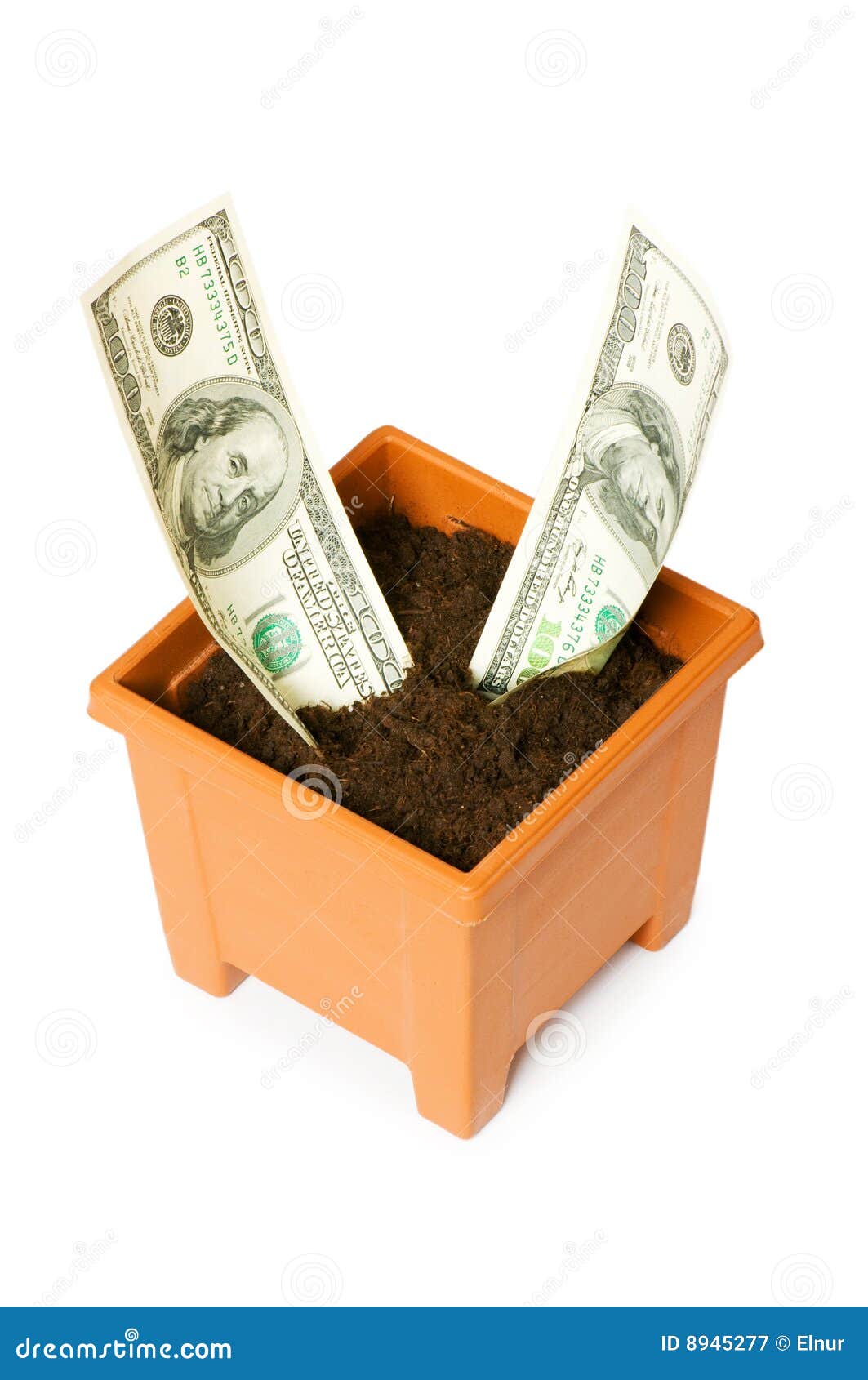 Dollars growing in the pot stock image. Image of financial - 8945277
