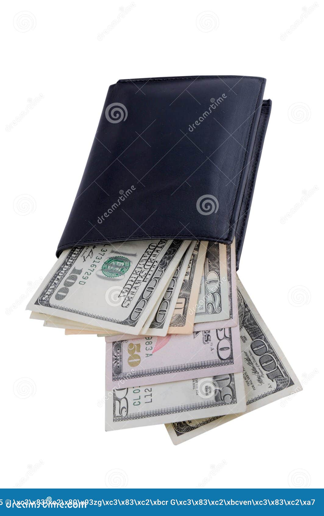 Dollars Inside the Wallet stock image. Image of finance - 13399275