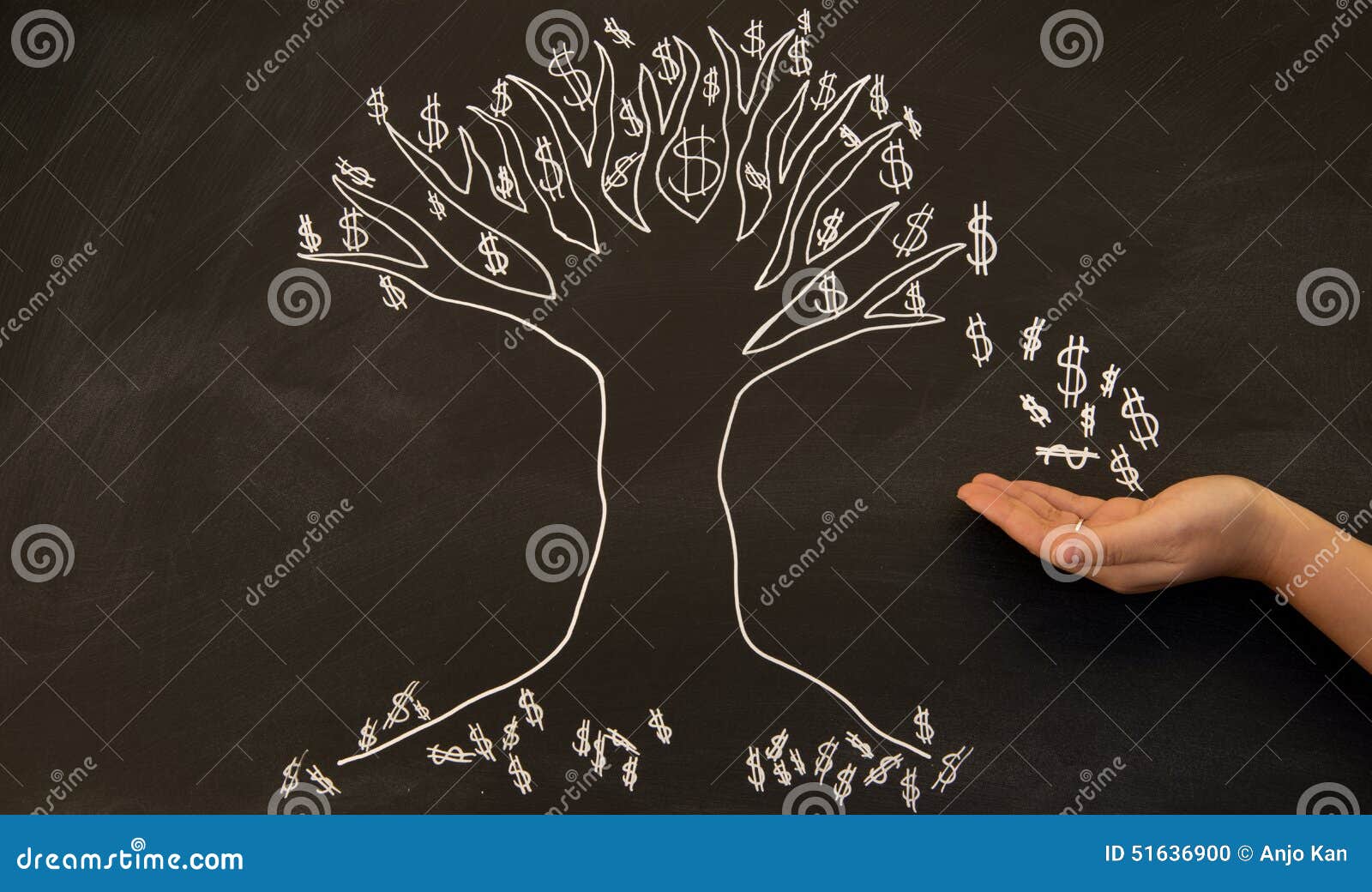 Dollars from money tree stock photo. Image of management - 51636900