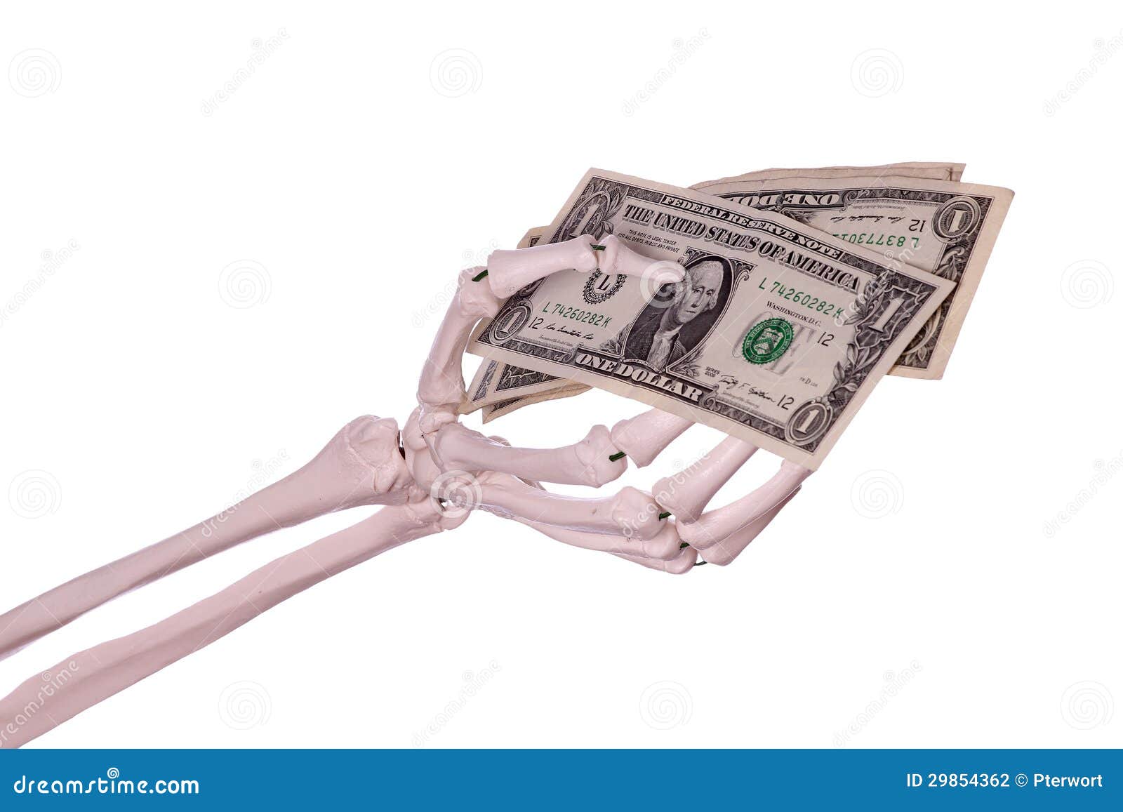 Dollars in Skeleton Fingers Stock Photo - Image of isolated, savings ...