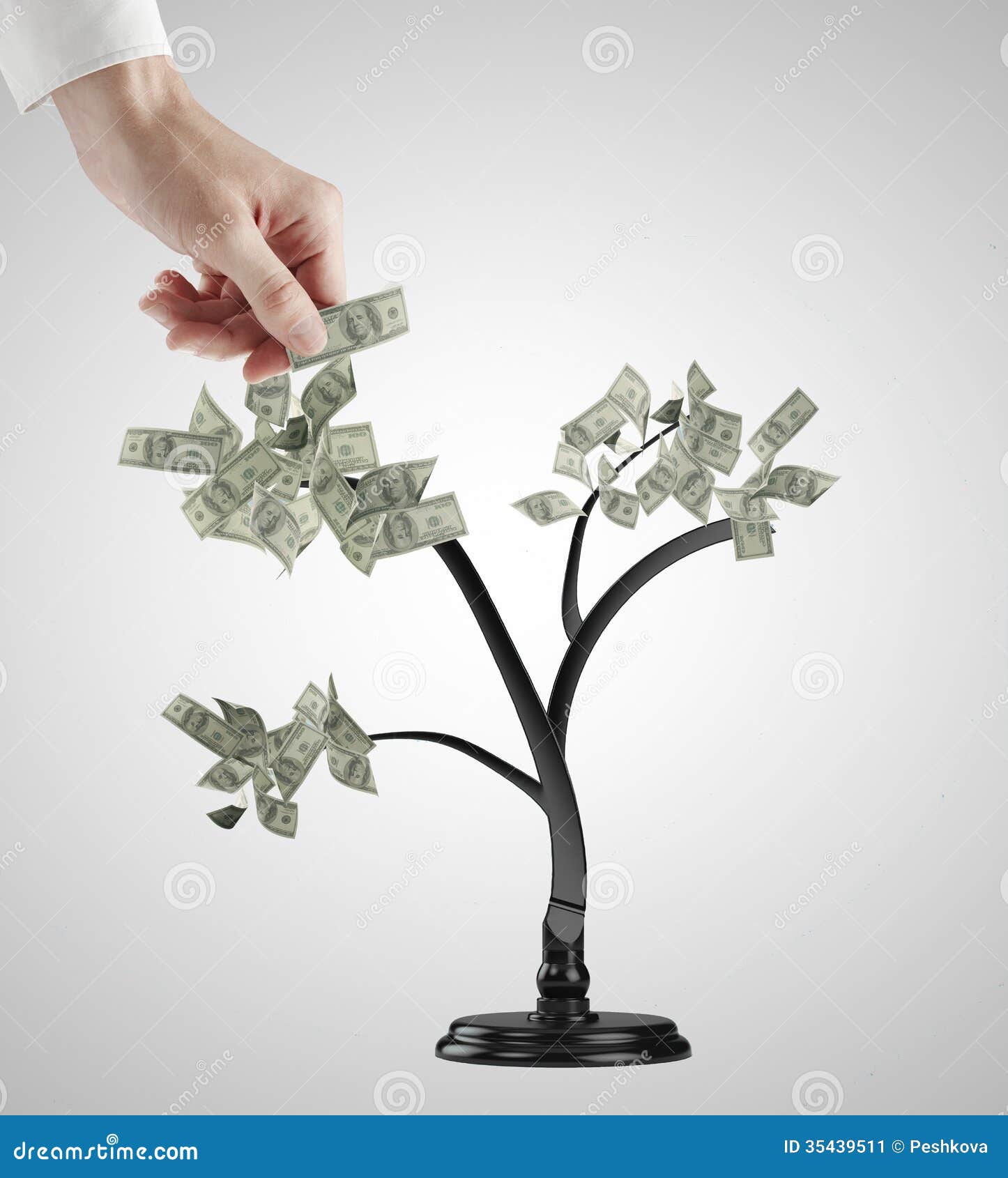 Dollars tree stock image. Image of creativity, leaf, plant - 35439511