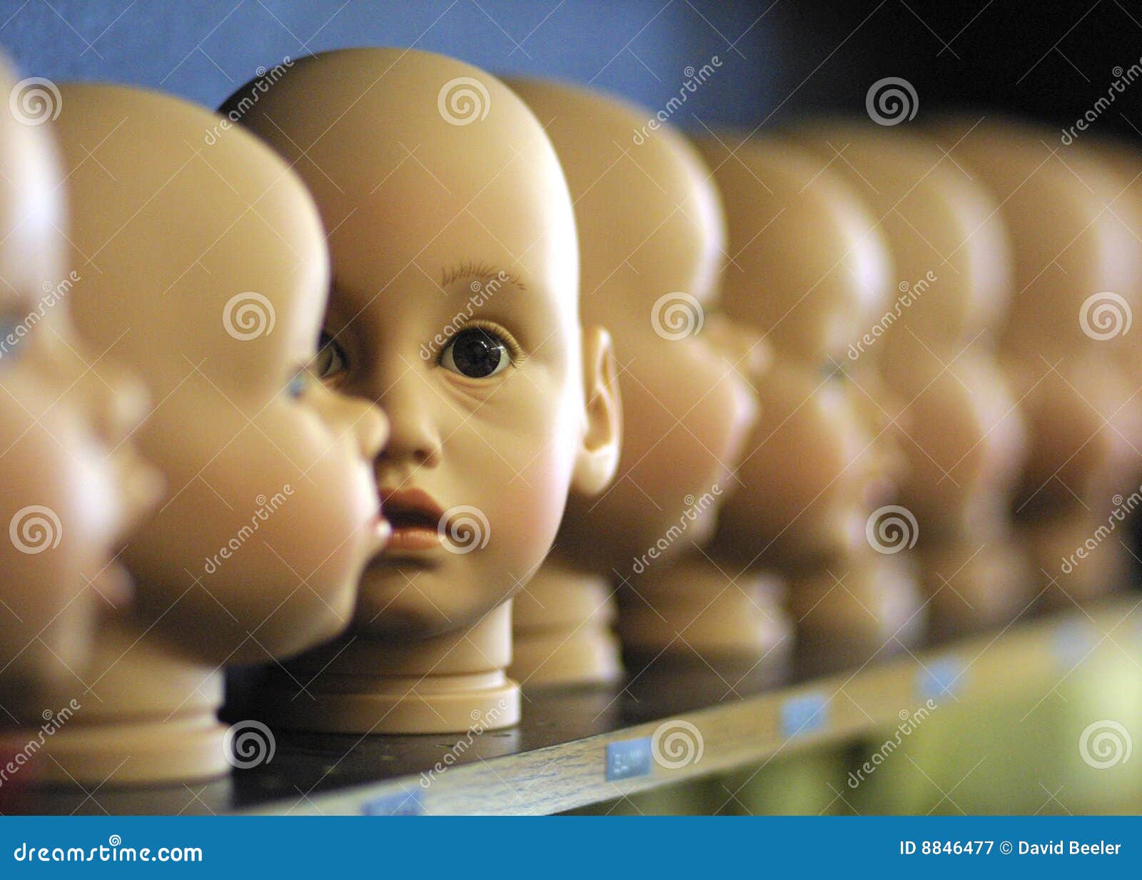 Dolls heads stock image. Image of testing, store, babies - 8846477