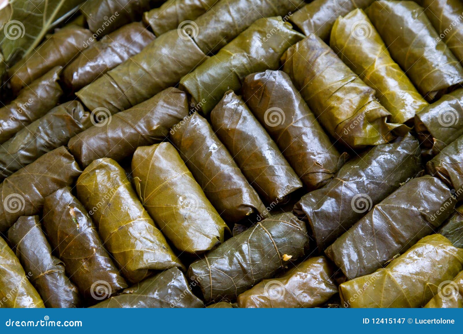 Dolma stock image. Image of minced, dish, dolma, sarma - 12415147