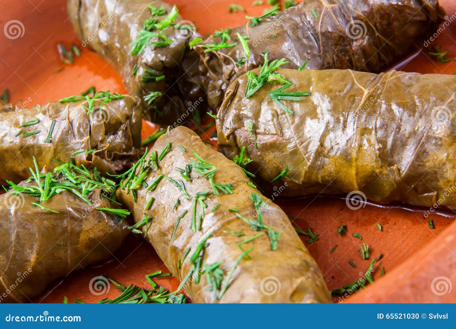 Dolma Armeno Tradizionale (tolma) Fotografia Stock - Immagine di ...