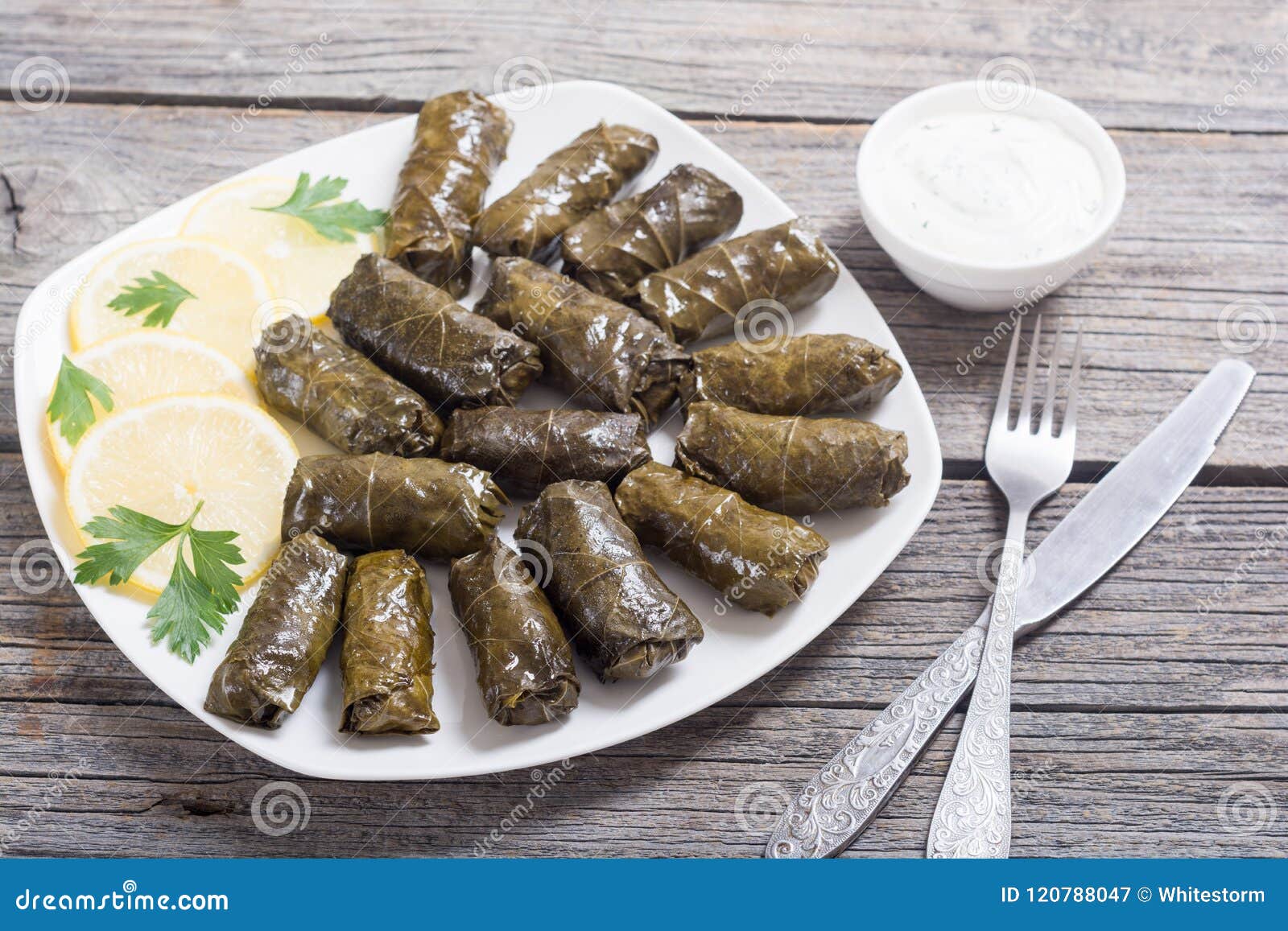 Dolma from grape of vines stock image. Image of dish - 120788047