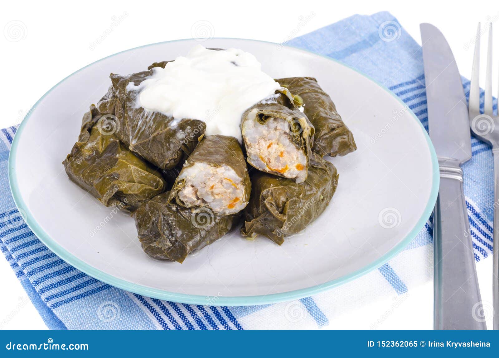 Dolma with Meat and Rice from Grape Leaves. Stock Image - Image of ...