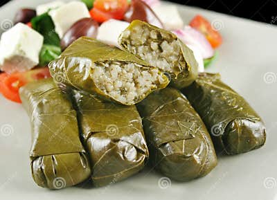 Dolmades 1 stock photo. Image of diet, garnish, feta, dinner - 4566006