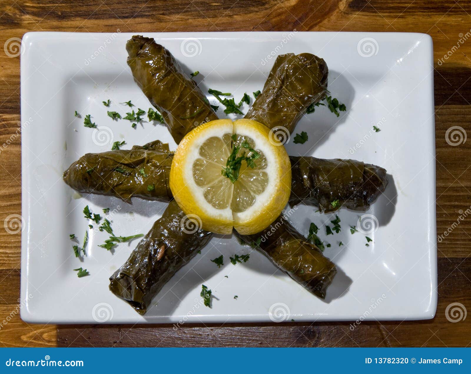 Dolmades stock photo. Image of plate, horizontal, lemon - 13782320