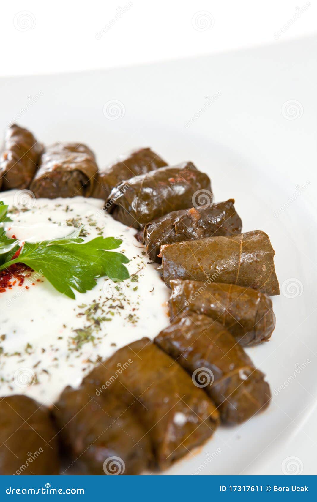 Dolmades stock image. Image of dolmades, appetizer, nutritious - 17317611