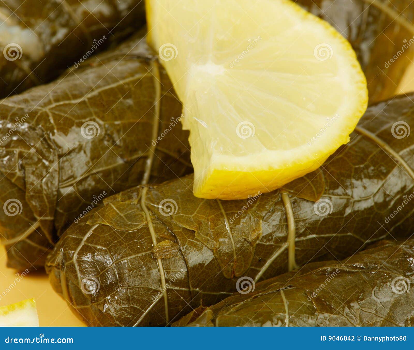 Dolmades stock photo. Image of wrapped, dolmades, greek - 9046042