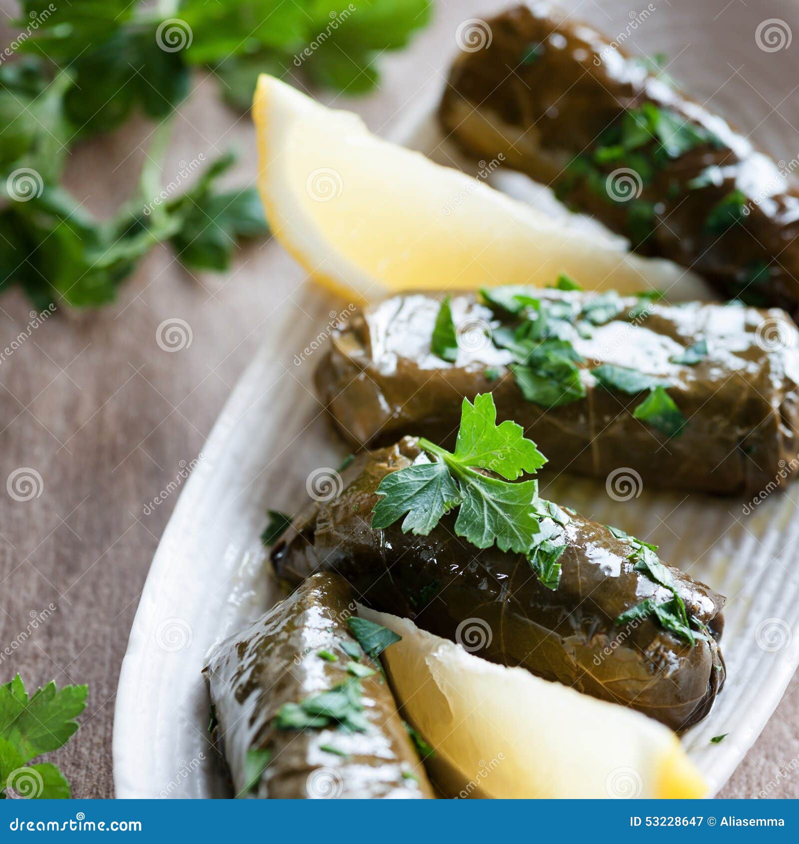 Dolmas stock image. Image of organic, appetizer, dolmades - 53228647