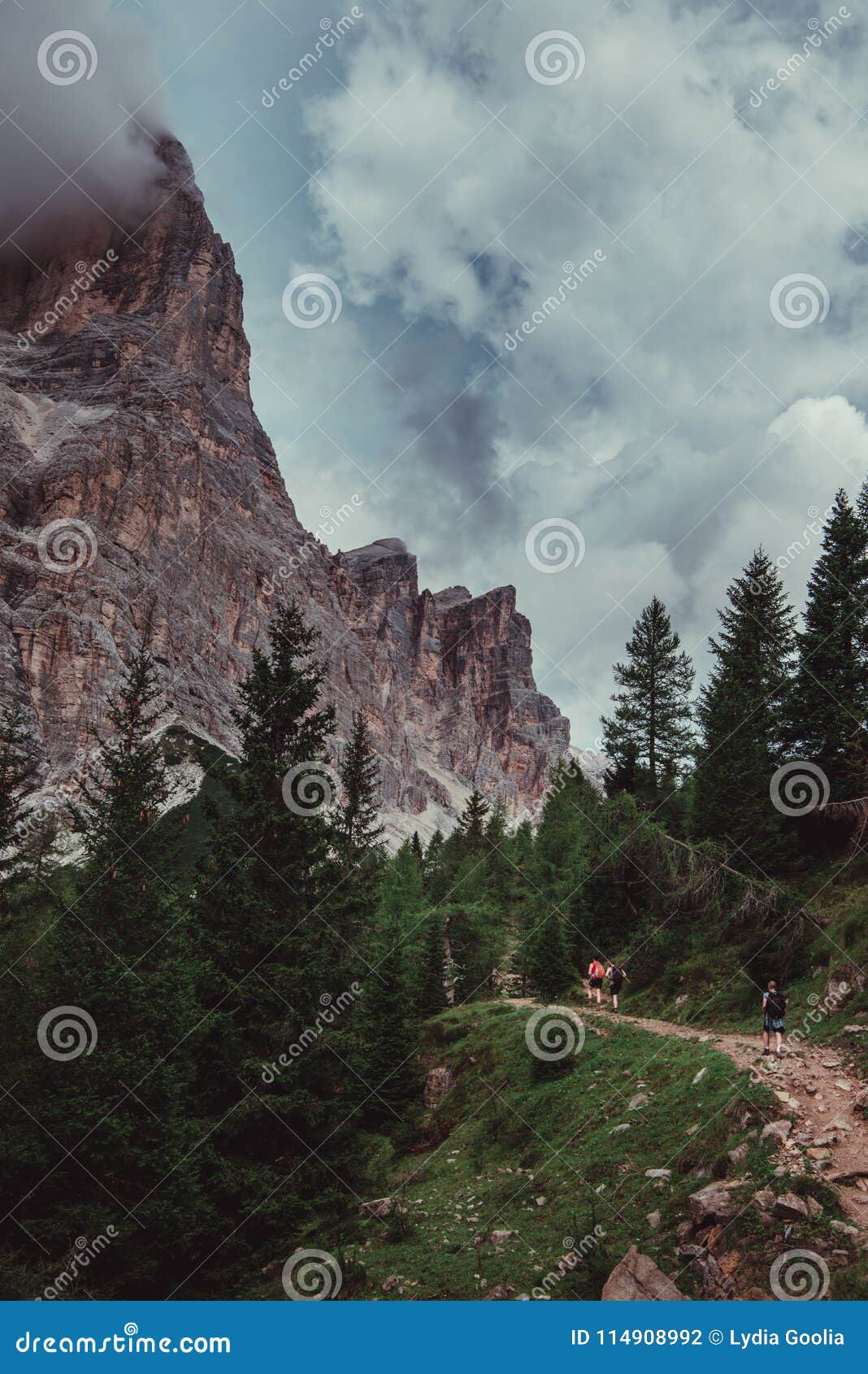 Dolomites northern Italy stock photo. Image of adige - 114908992