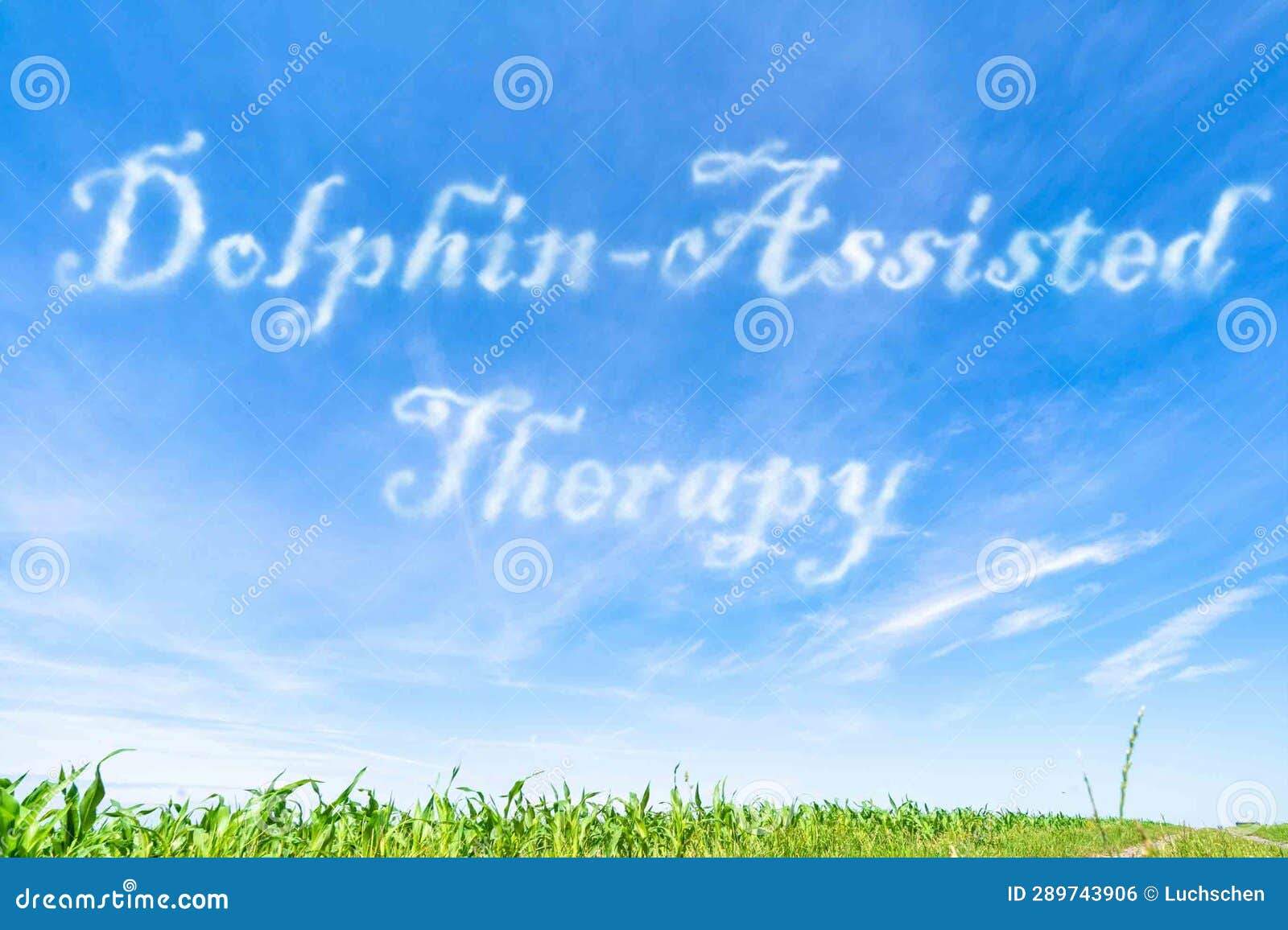 Dolphin-Assisted Therapy: Using Interactions with Dolphins for ...