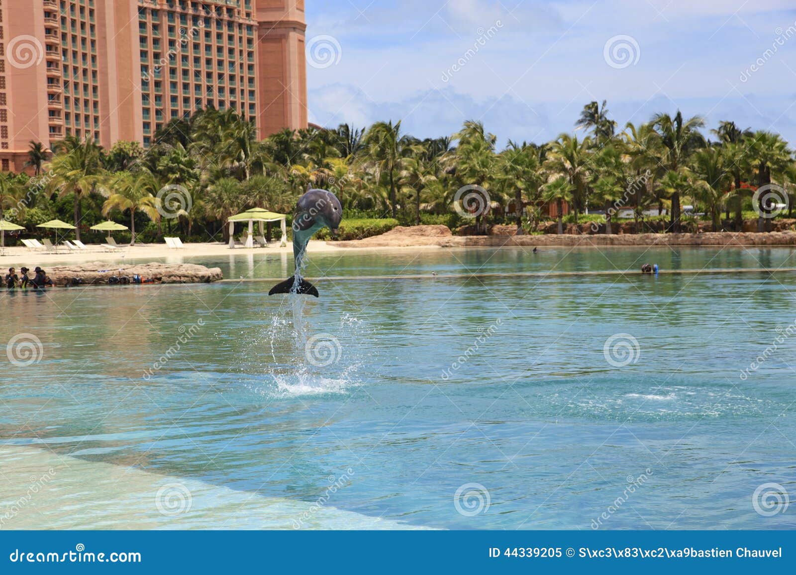 Dolphin at the Atlantis Hotel Editorial Image - Image of atlantis ...