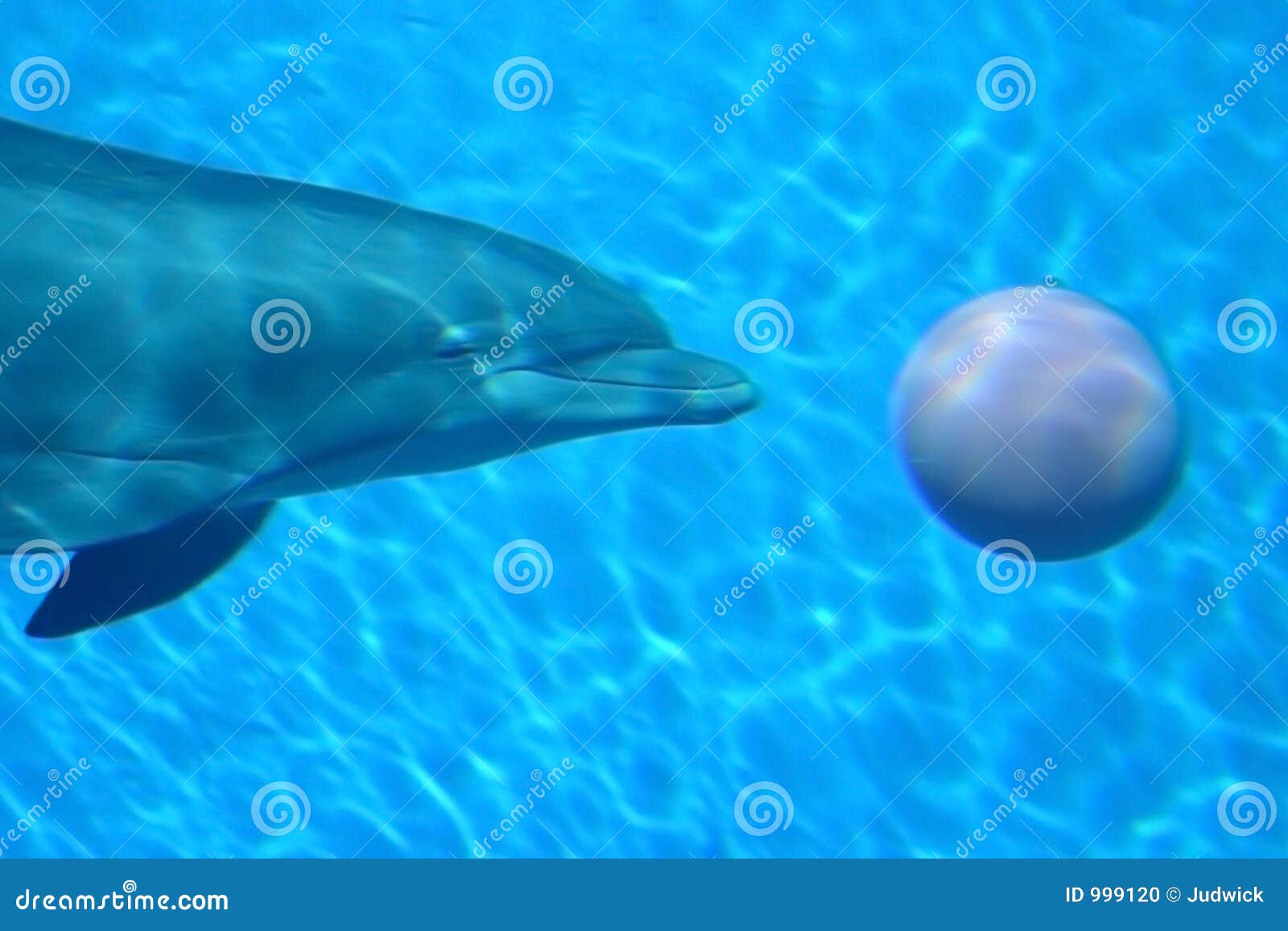 Dolphin and Ball stock photo. Image of underwater, play - 999120