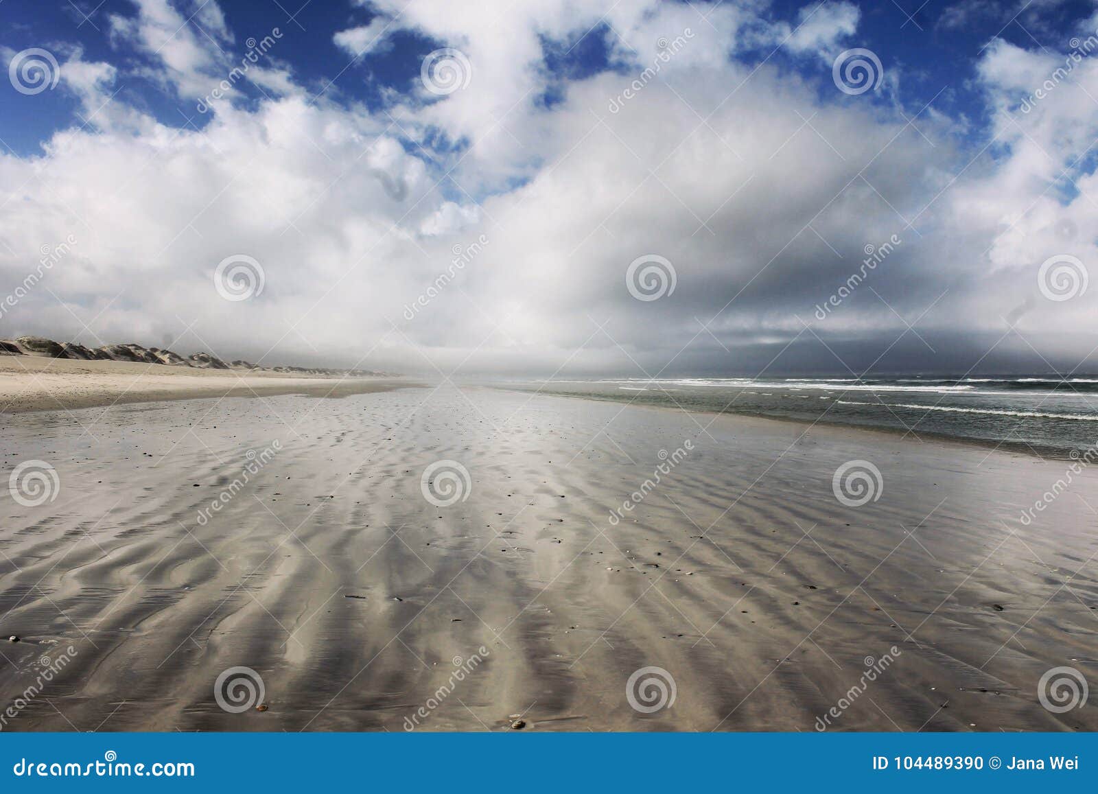 Dolphin Beach stock photo. Image of beach, dolphin, africa - 104489390