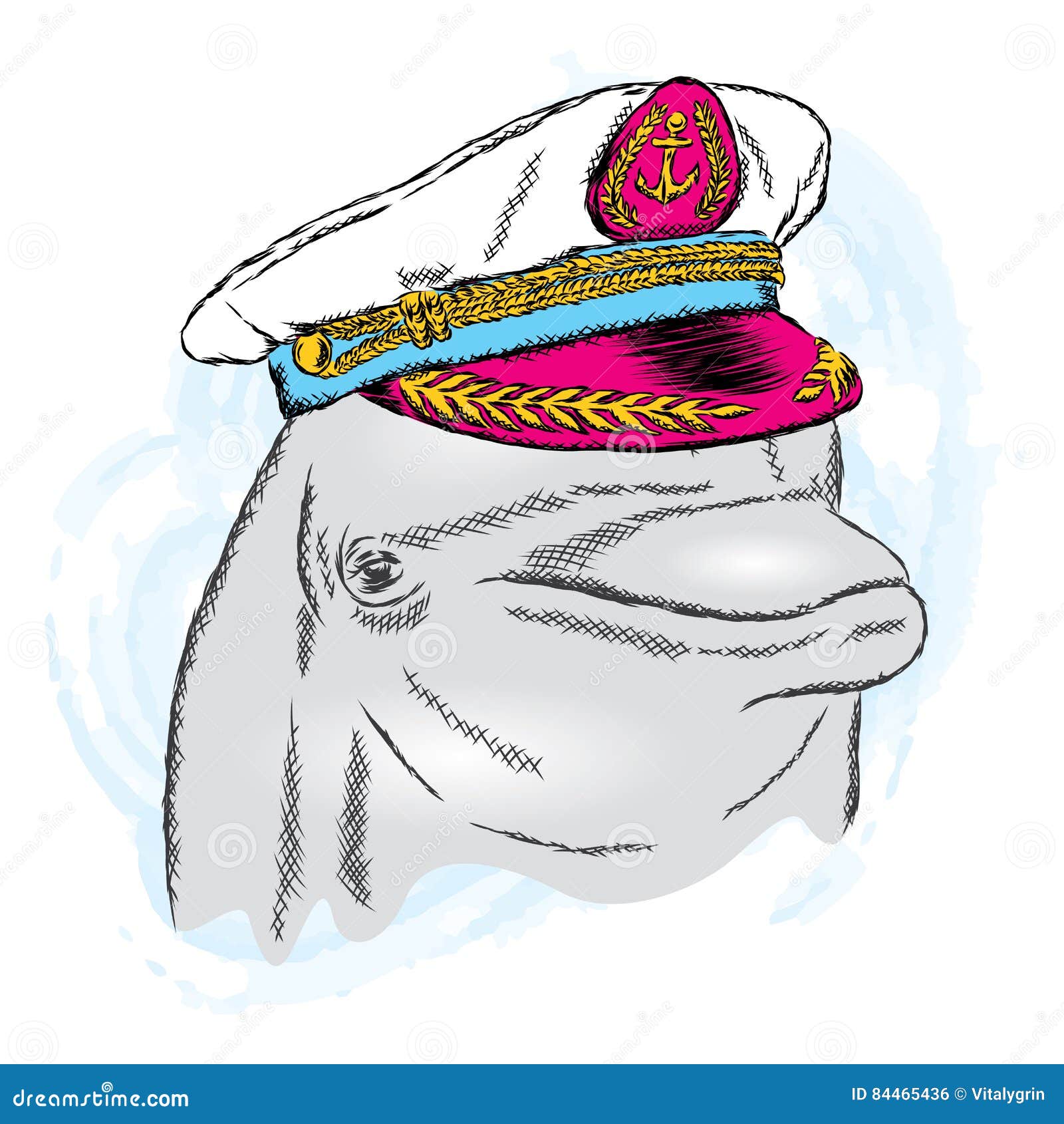 Dolphin in the Captain`s Cap. Stock Vector - Illustration of charming ...