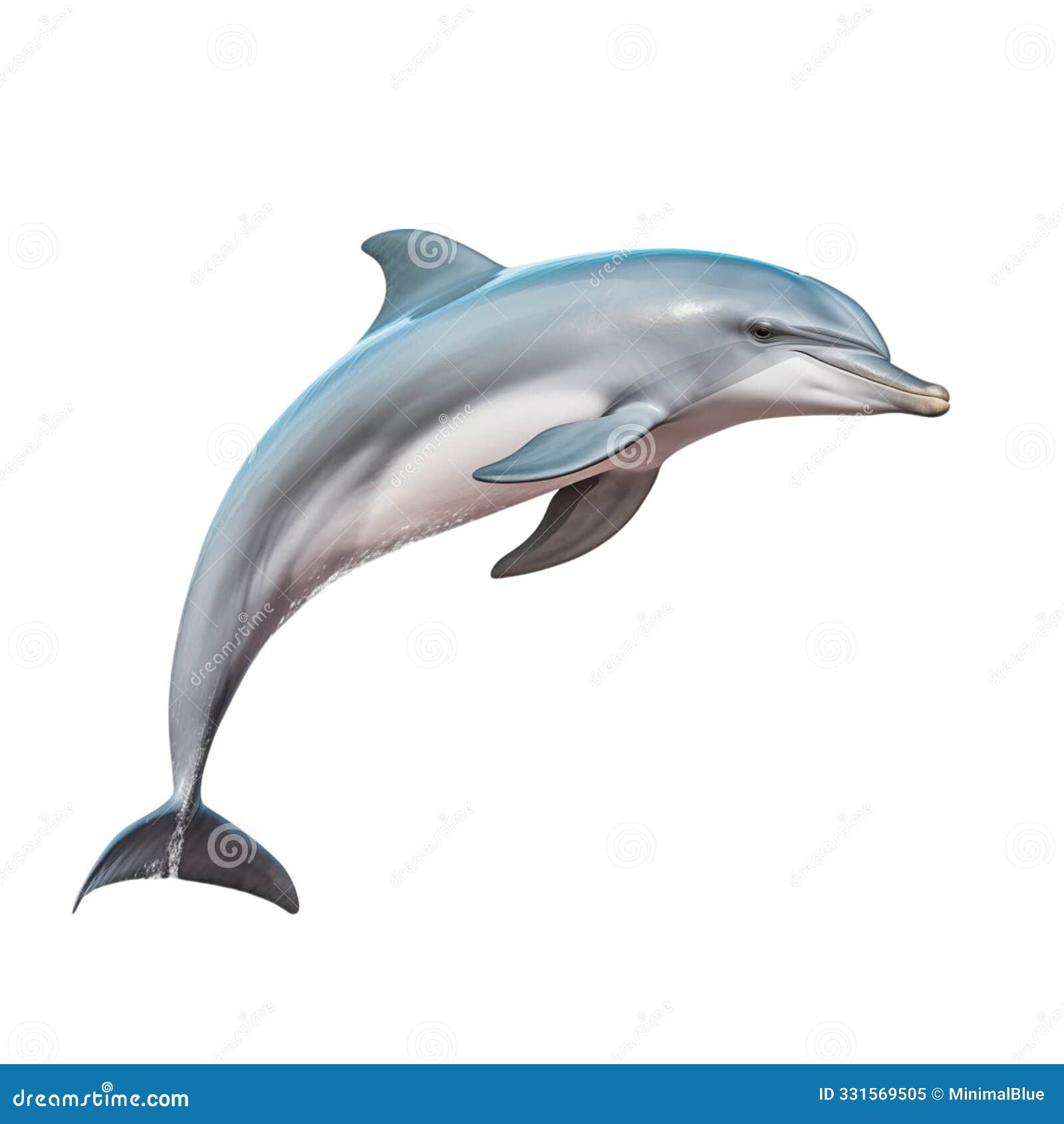 Dolphin Cutout Isolated on White Background Stock Illustration ...