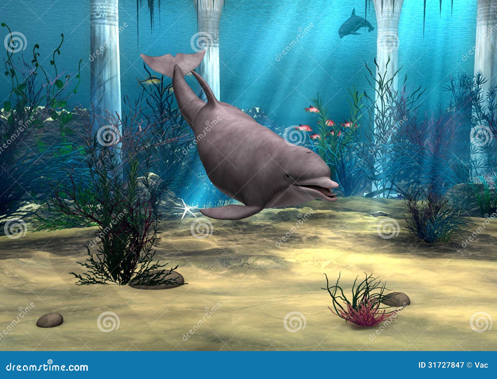 Dolphin stock illustration. Illustration of light, animal - 31727847