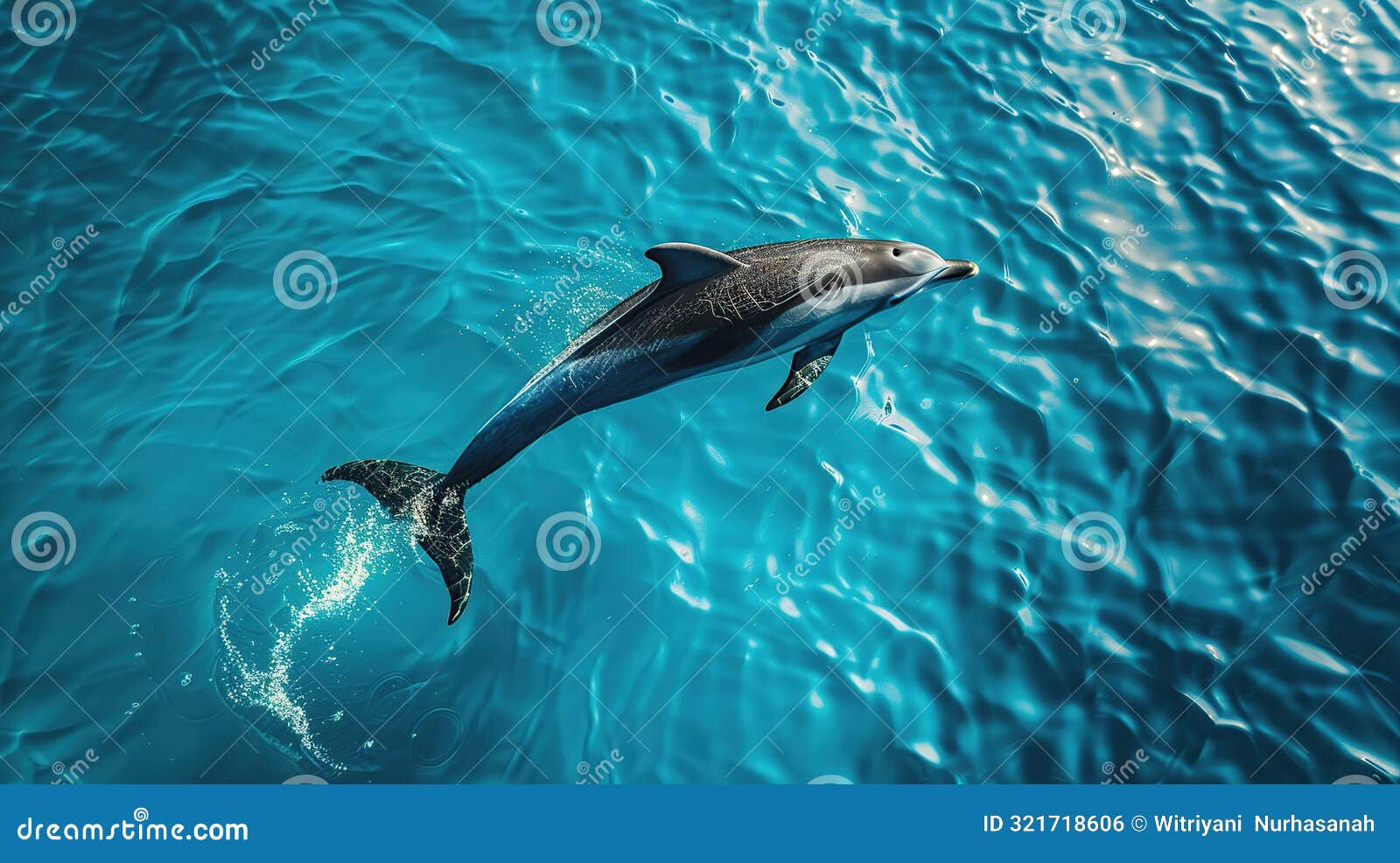 Dolphin Floating in the Blue Lagoon. Generative Ai Stock Illustration ...